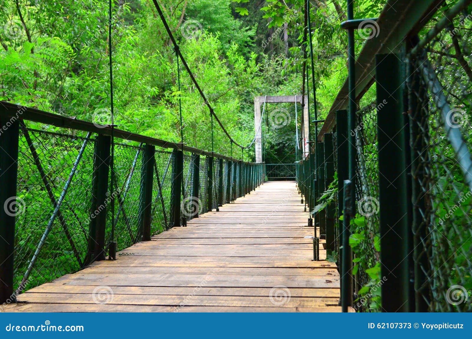 Wooden bridge over creek stock image. Image of brook - 62107373