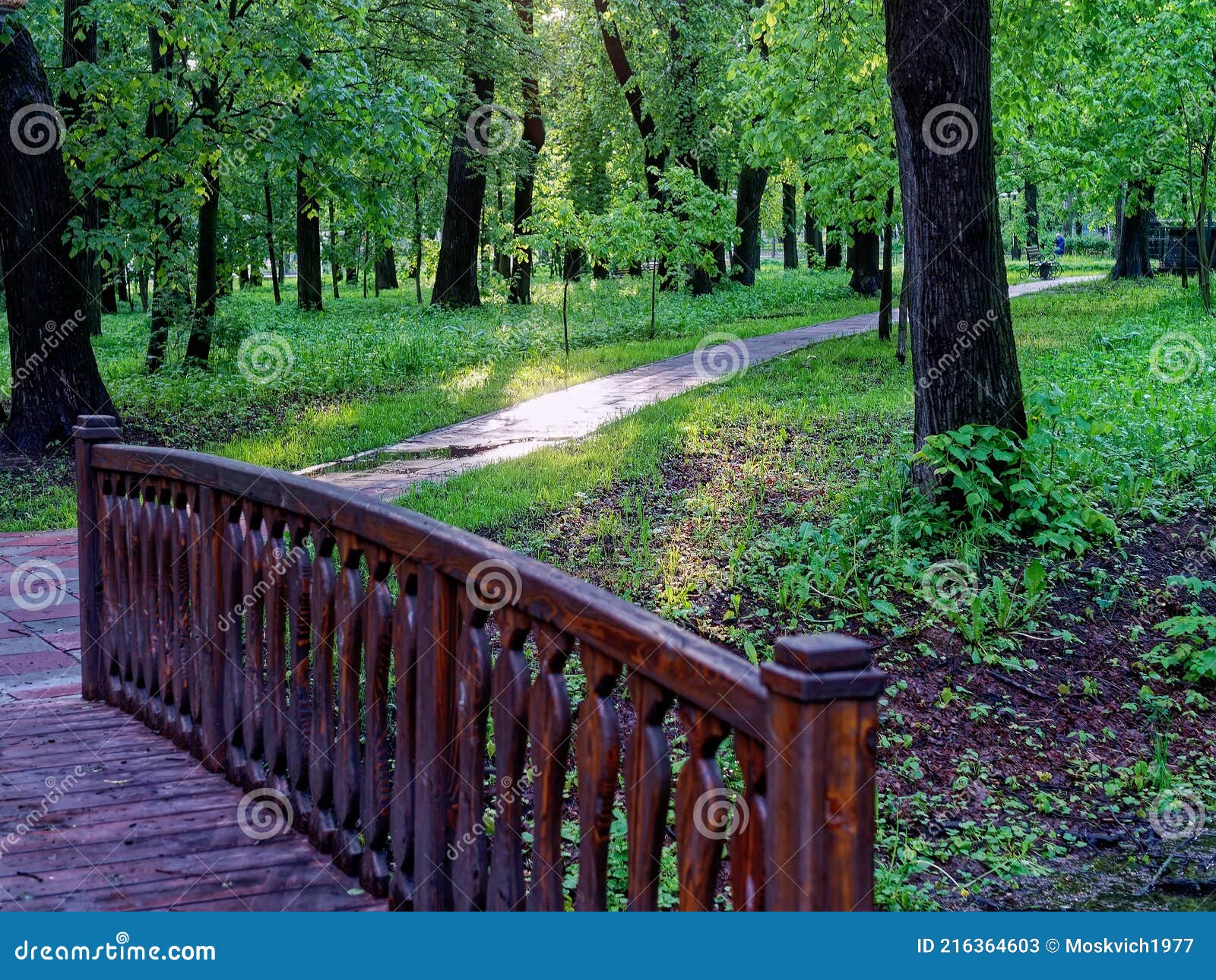 Wooden Bridge Over a Ditch in the Park Stock Image - Image of plank ...