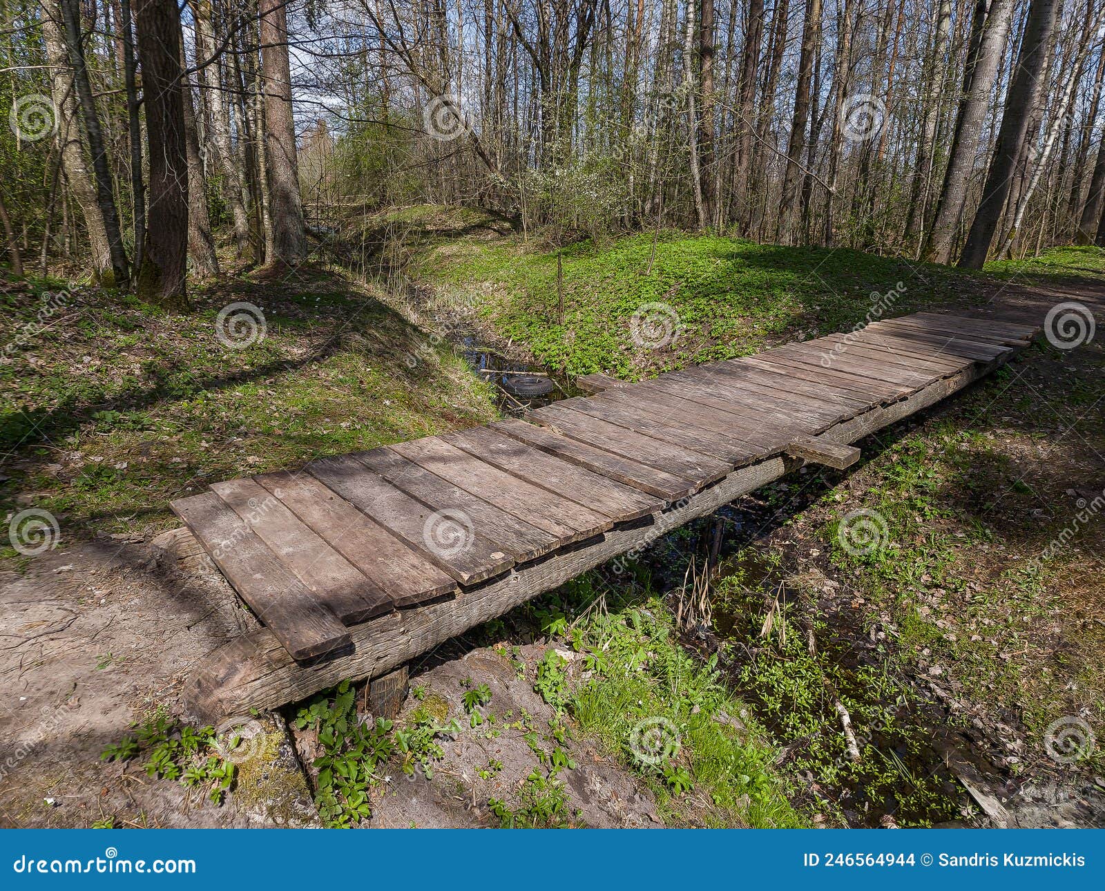 A Wooden Bridge Over Ditch in Spring Day Stock Photo - Image of park ...