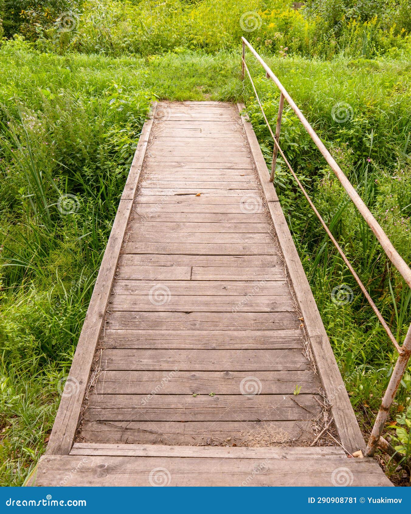 Wooden Bridge Over Forest Ditch Top View Stock Image - Image of bridge ...