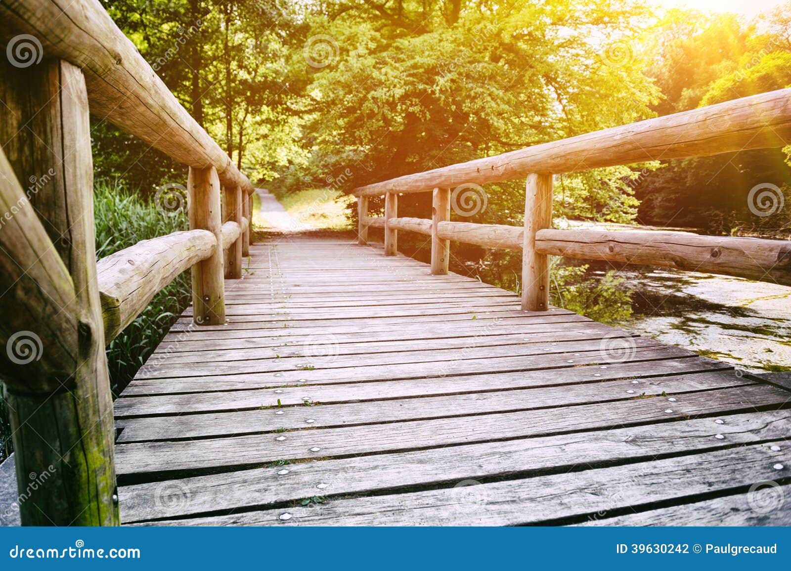 Wooden Bridge Over Forest River Stock Photo - Image of cross, autumn ...