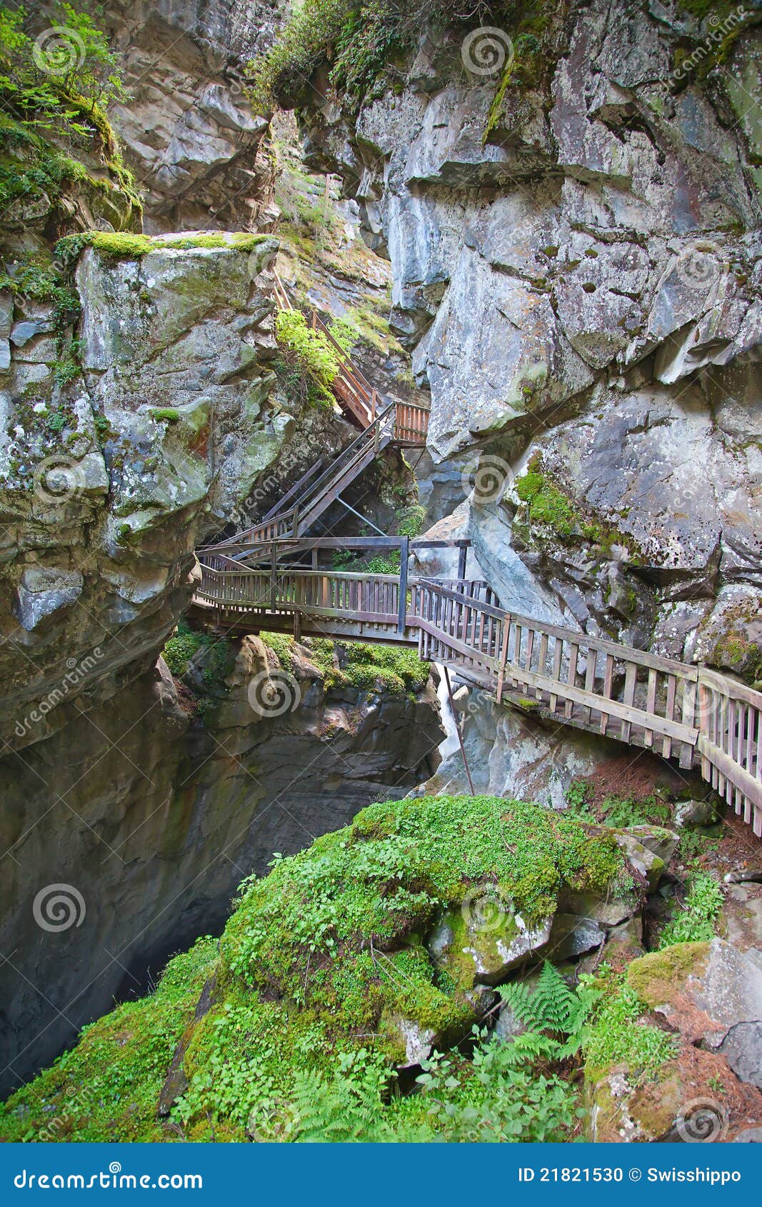 Wooden bridge over gorge stock photo. Image of alpine - 21821530