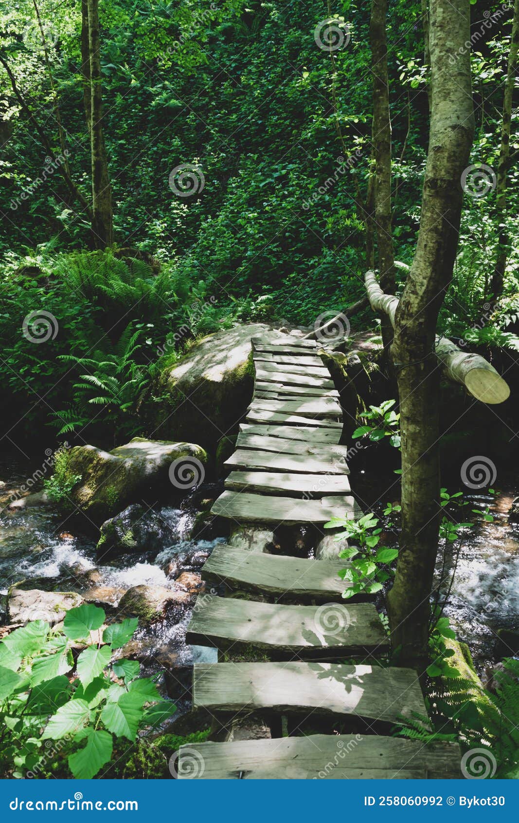 Wooden Bridge Over a Mountain River. Green Forest. Summer Landscape ...