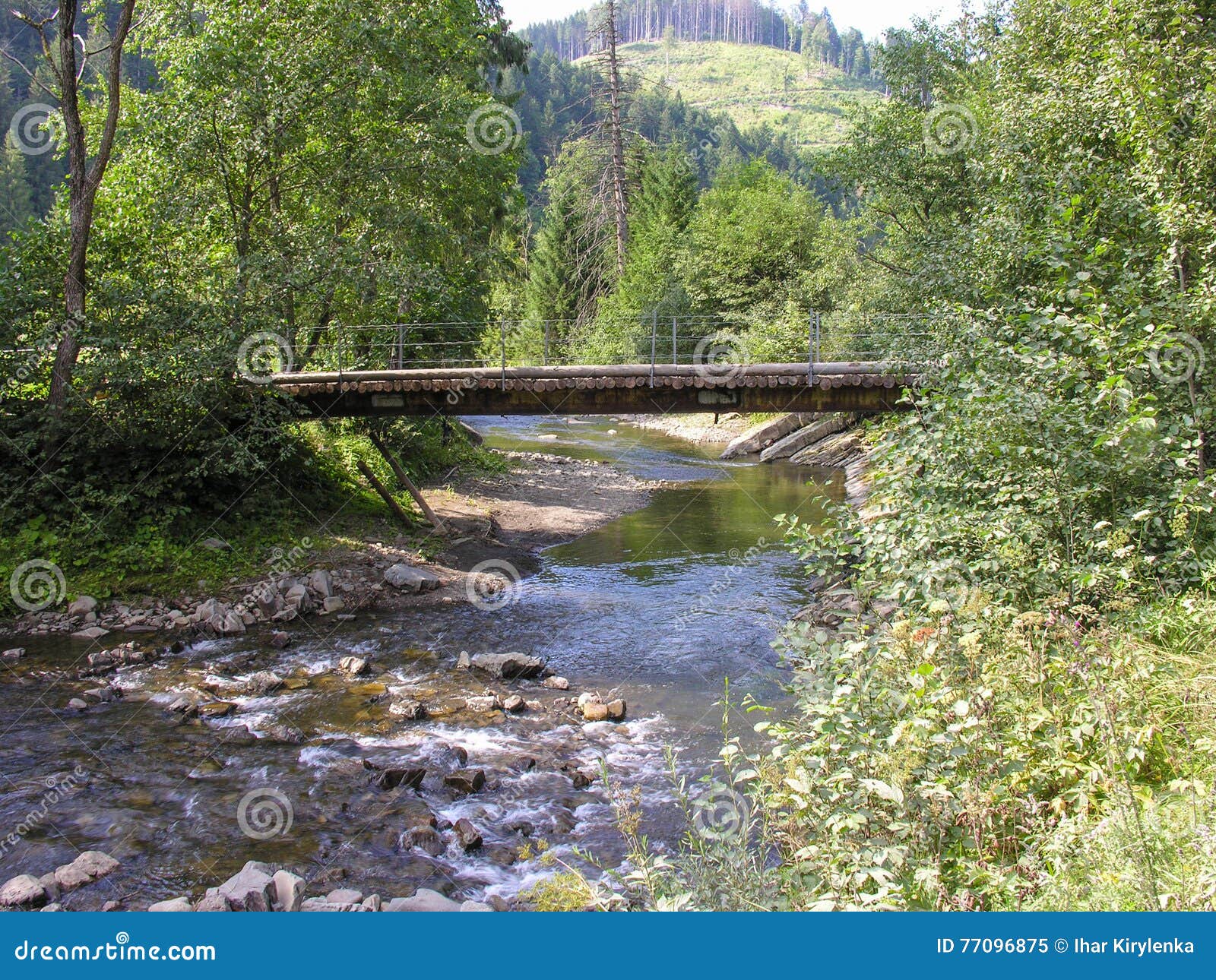 Wooden Bridge Over Mountain River Stock Image - Image of path, bushes ...