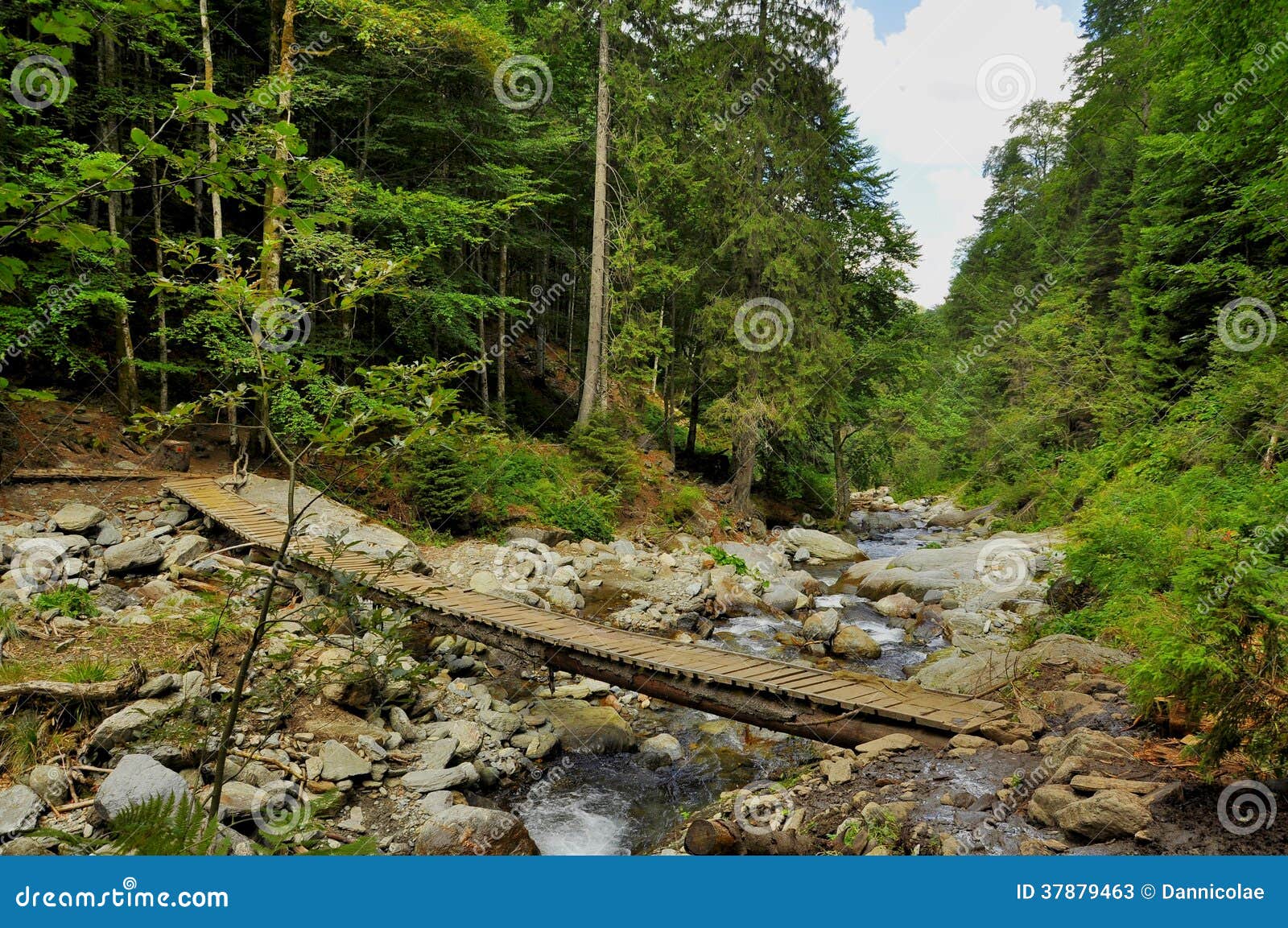 Wooden Bridge Over a Mountain Stream Stock Image - Image of environment ...