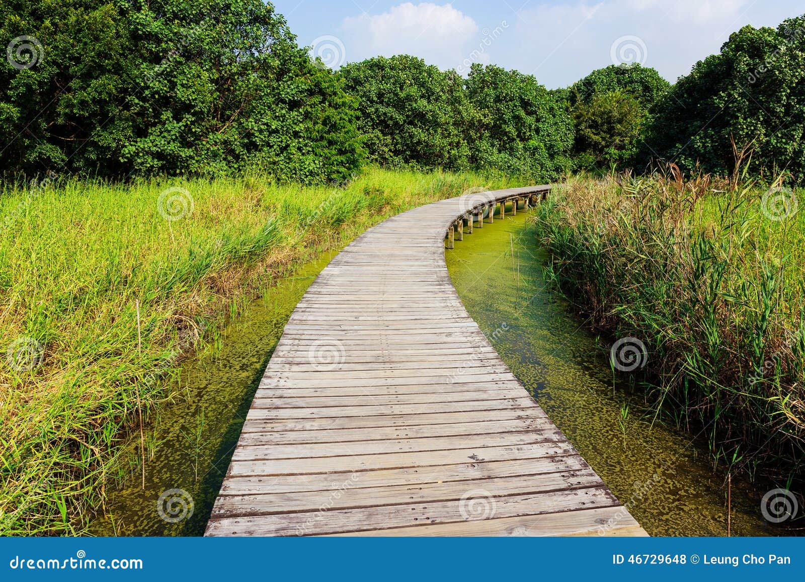 Wooden Bridge over a Pond stock photo. Image of hike - 46729648