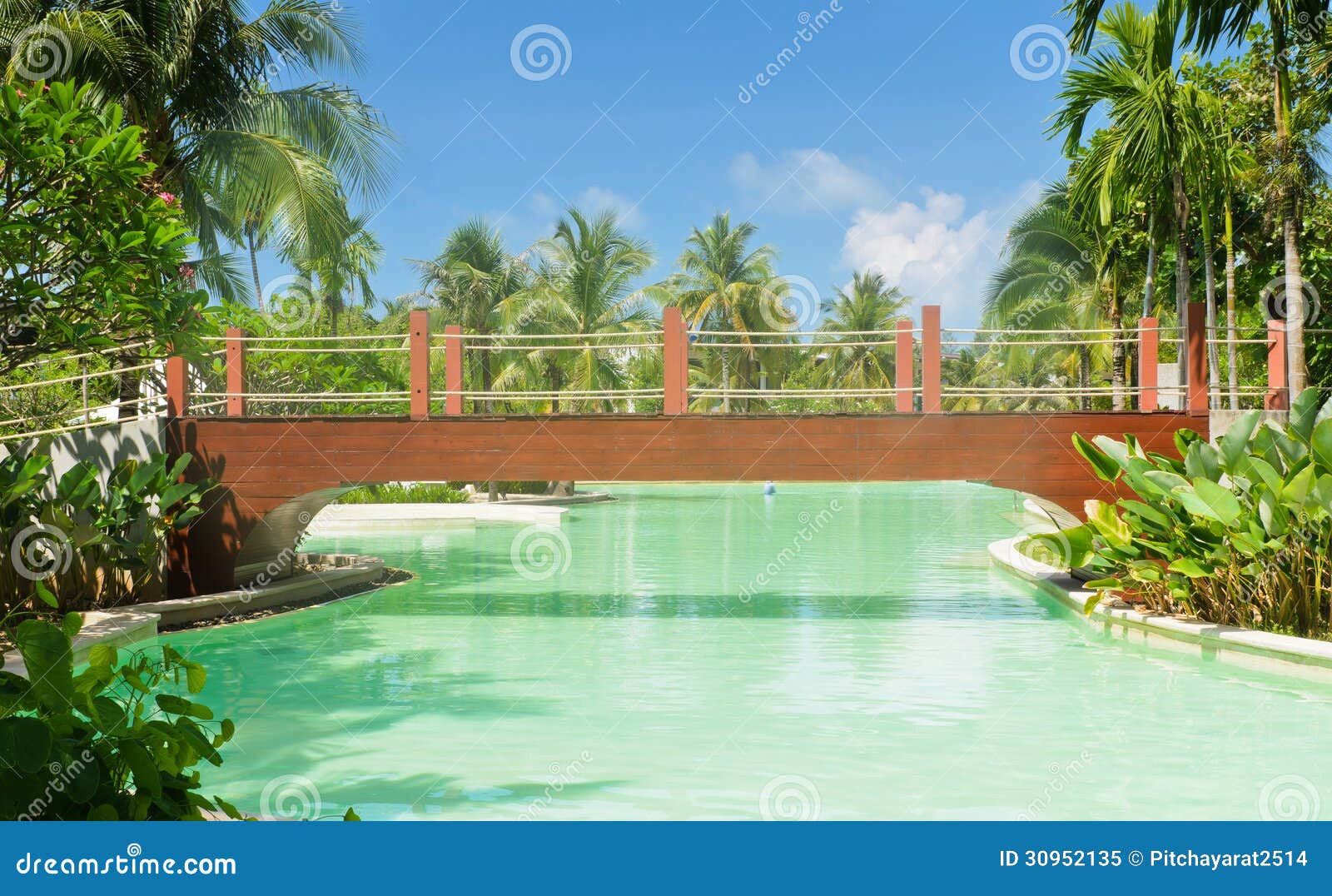 Wooden Bridge Over the Pool Stock Image - Image of bridge, deep: 30952135