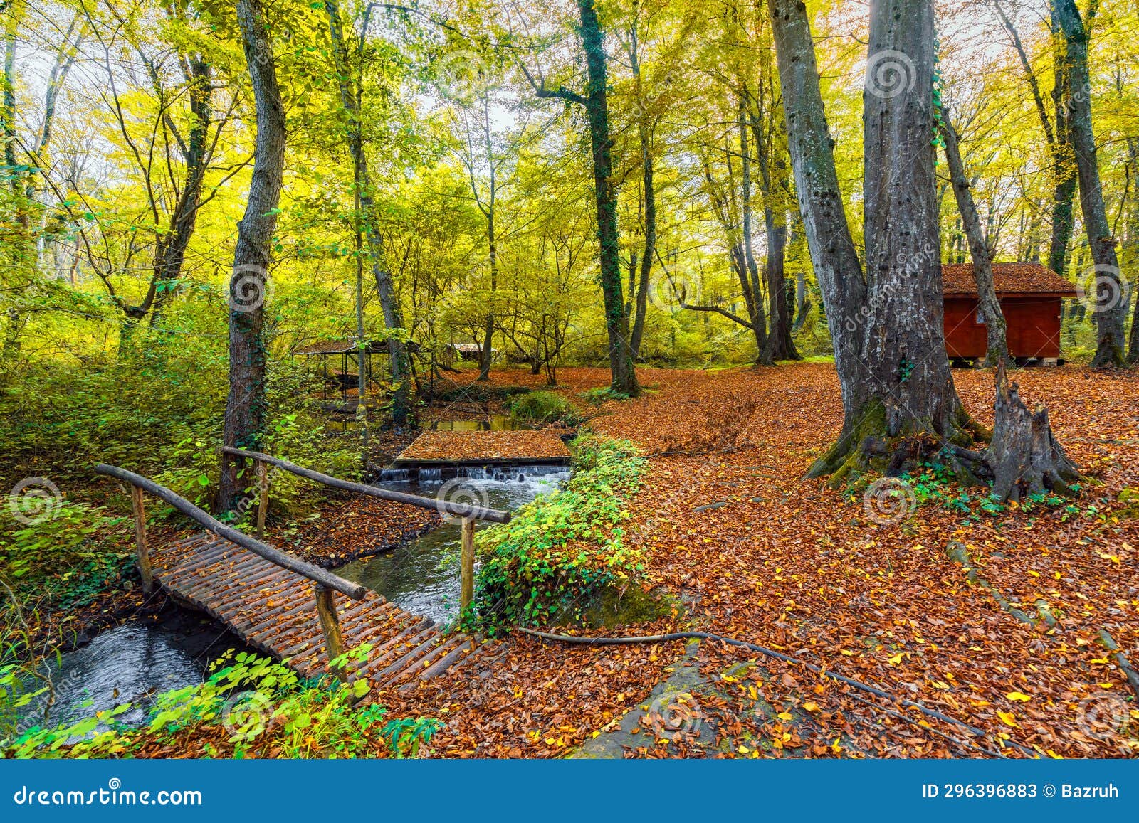 Wooden Bridge Over a River in the Forest. Nature Rest Stock Image ...