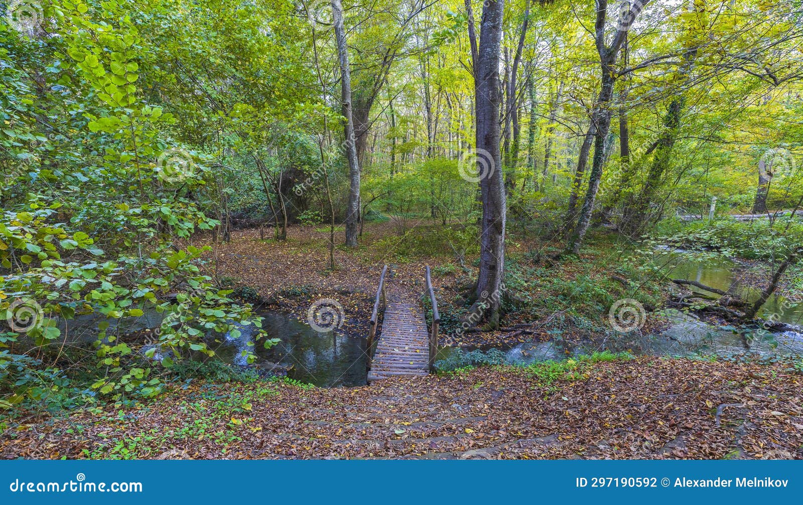 Wooden Bridge Over a River in the Forest Stock Photo - Image of lake ...