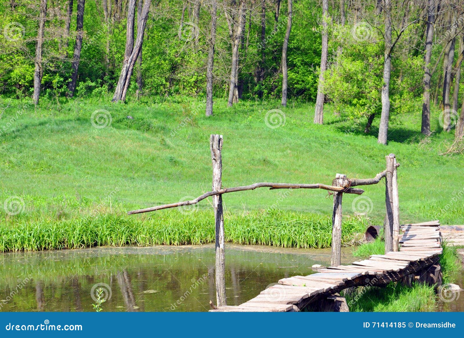 Wooden Bridge Over the River in the Forest Stock Image - Image of ...