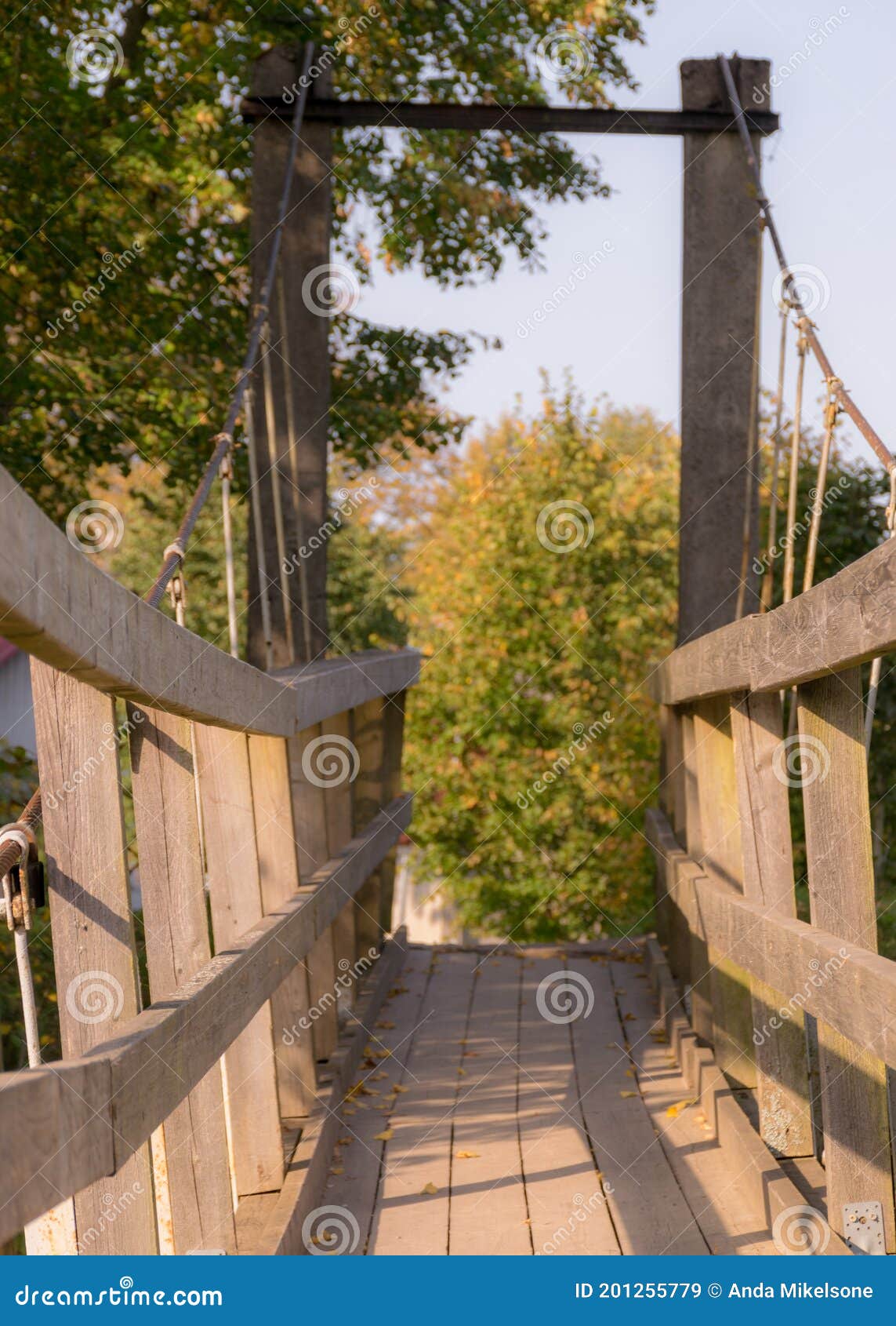Wooden Bridge Over the River, Trees and Shrubs in the Background Stock ...