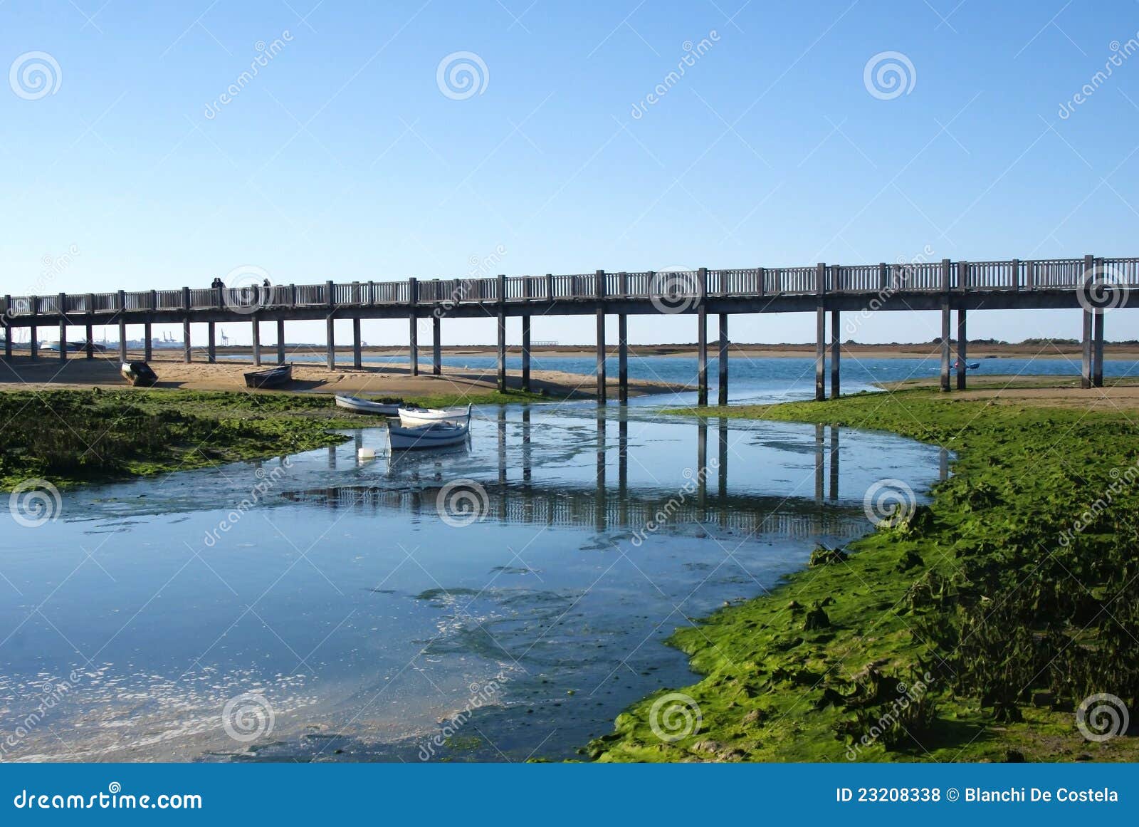 Wooden bridge over the sea stock photo. Image of scenic - 23208338