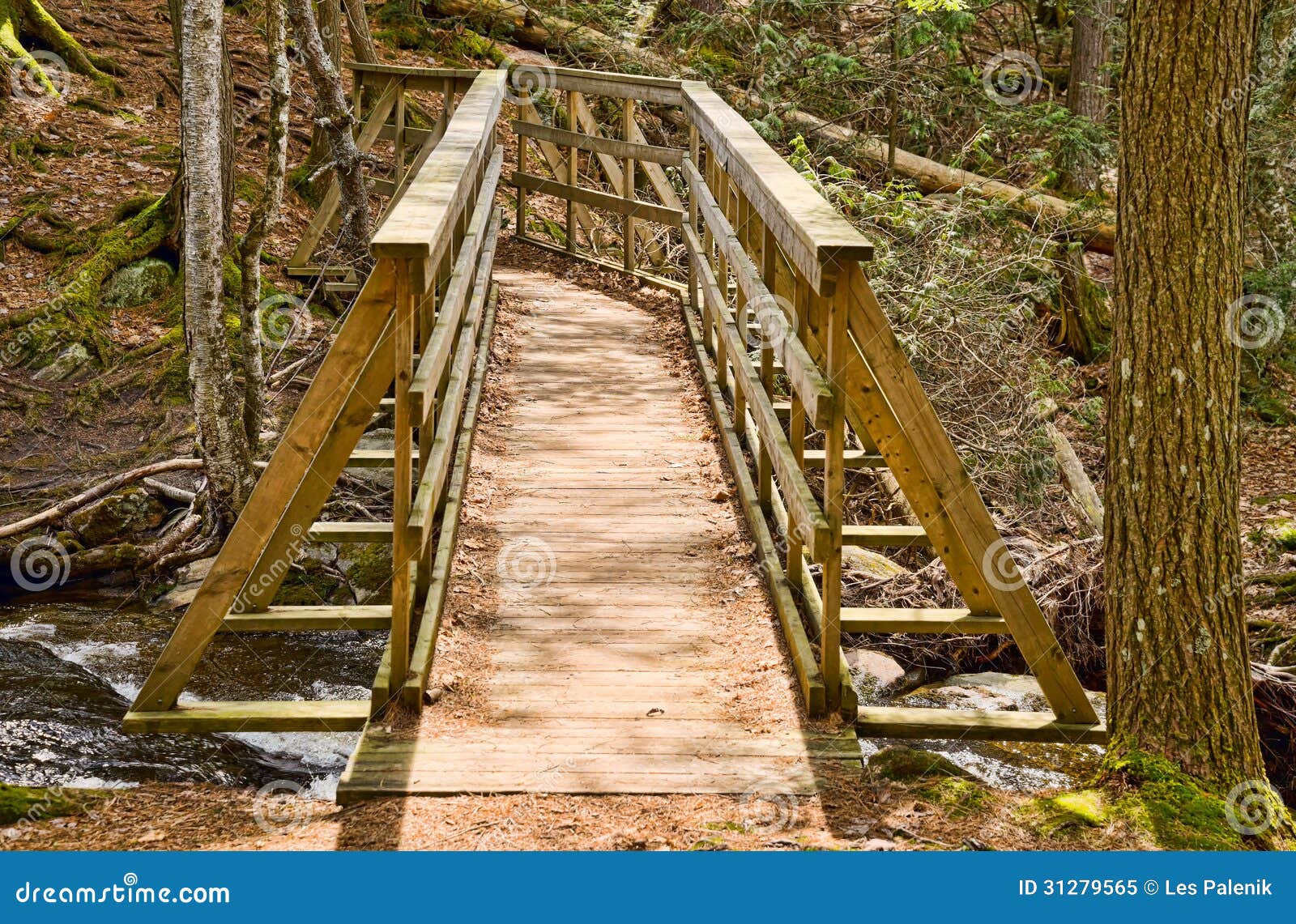 Wooden bridge stock image. Image of ontario, wooden, forest - 31279565