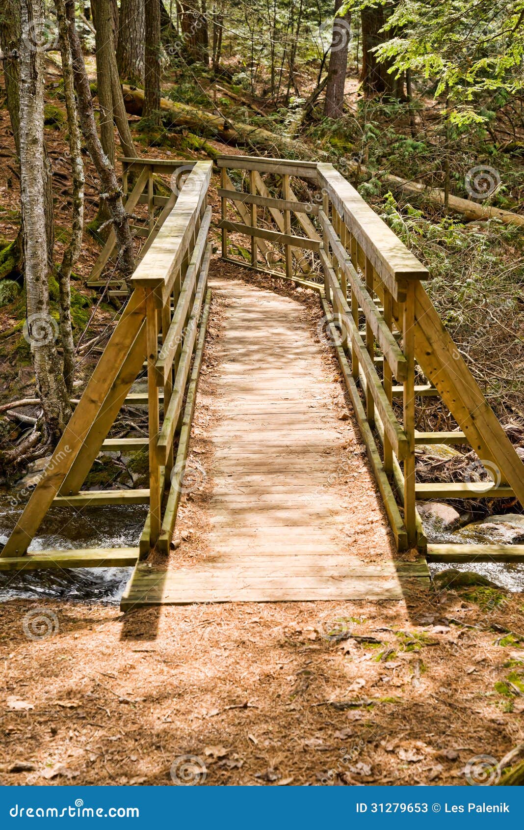 Wooden bridge stock image. Image of canada, river, trail - 31279653