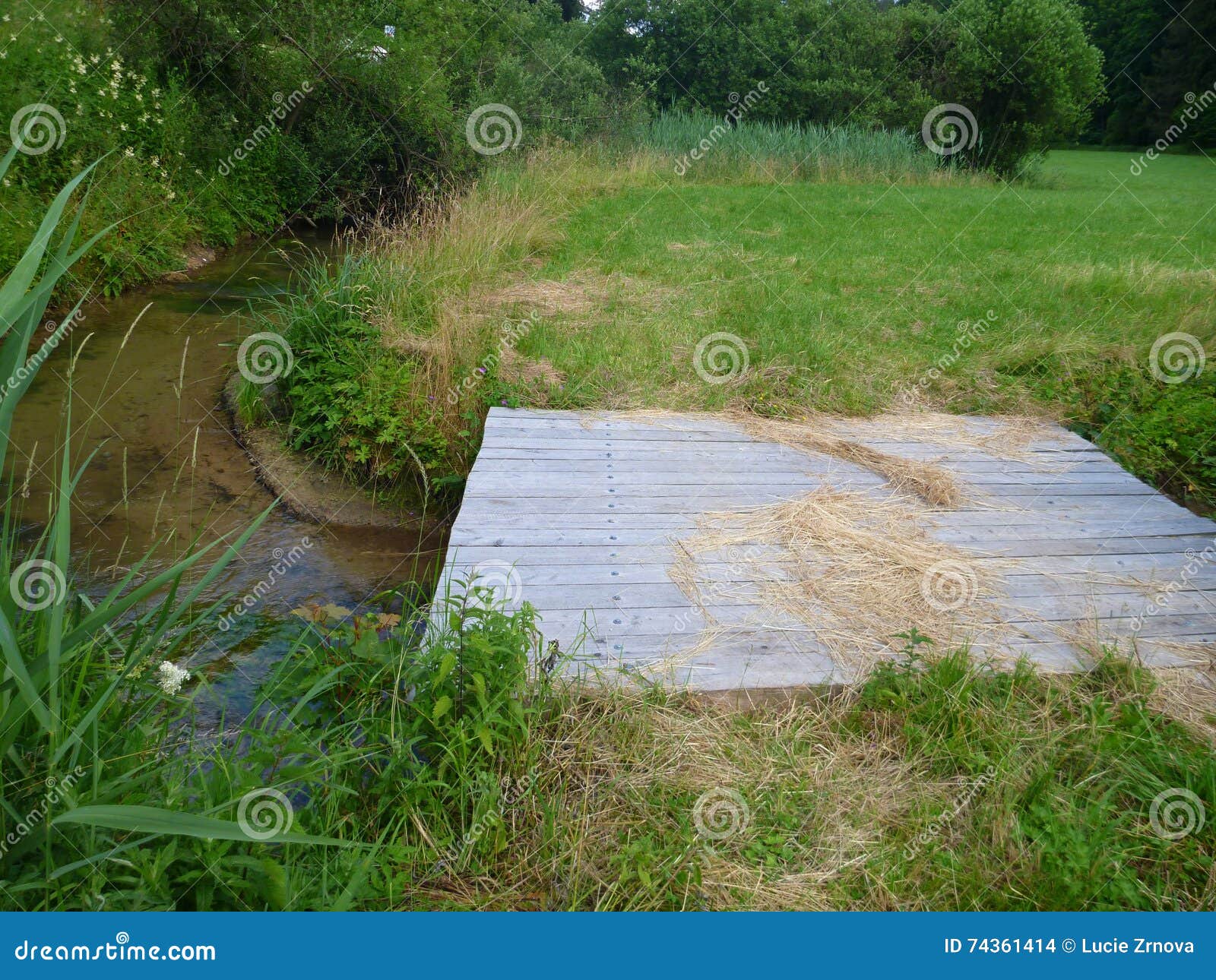 Wooden Bridge Over a Small Creek Stock Photo - Image of meadow ...
