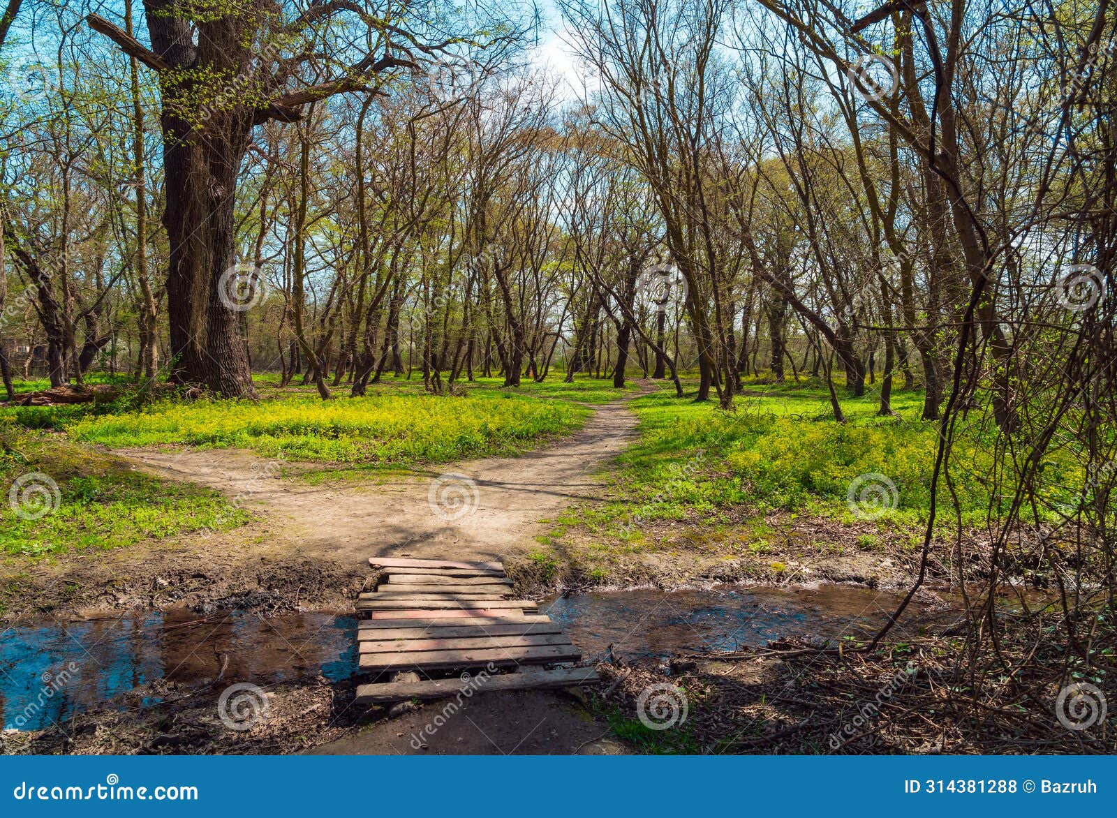 Wooden Bridge Over a Small River in the Forest. Summer Traveling Stock ...
