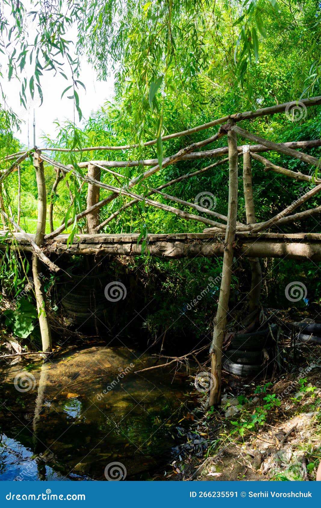 A Wooden Bridge Over a Small River Under the Canopy of Green Trees ...
