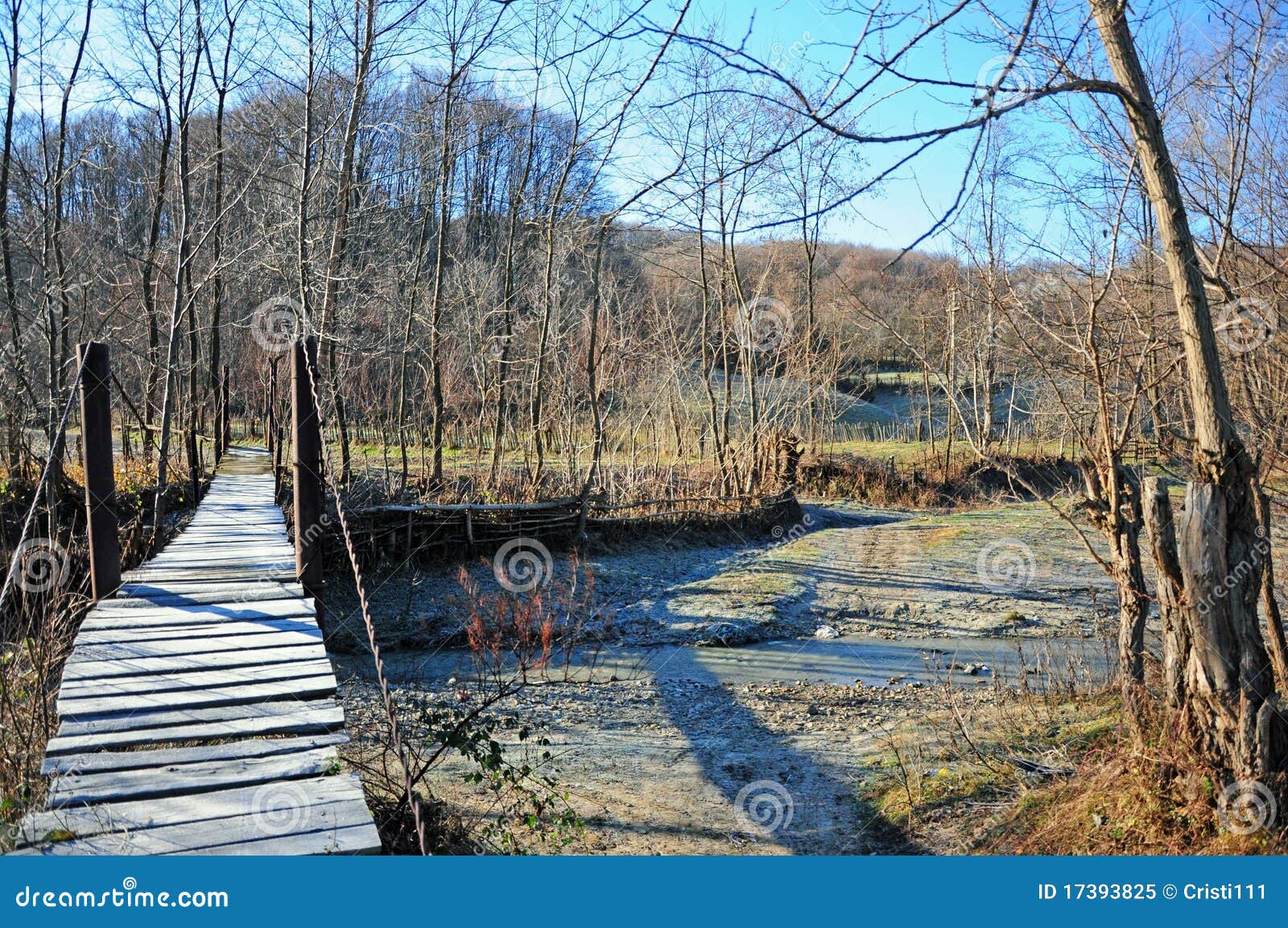 Wooden Bridge Over Spring at Evening Stock Image - Image of cover, cold ...