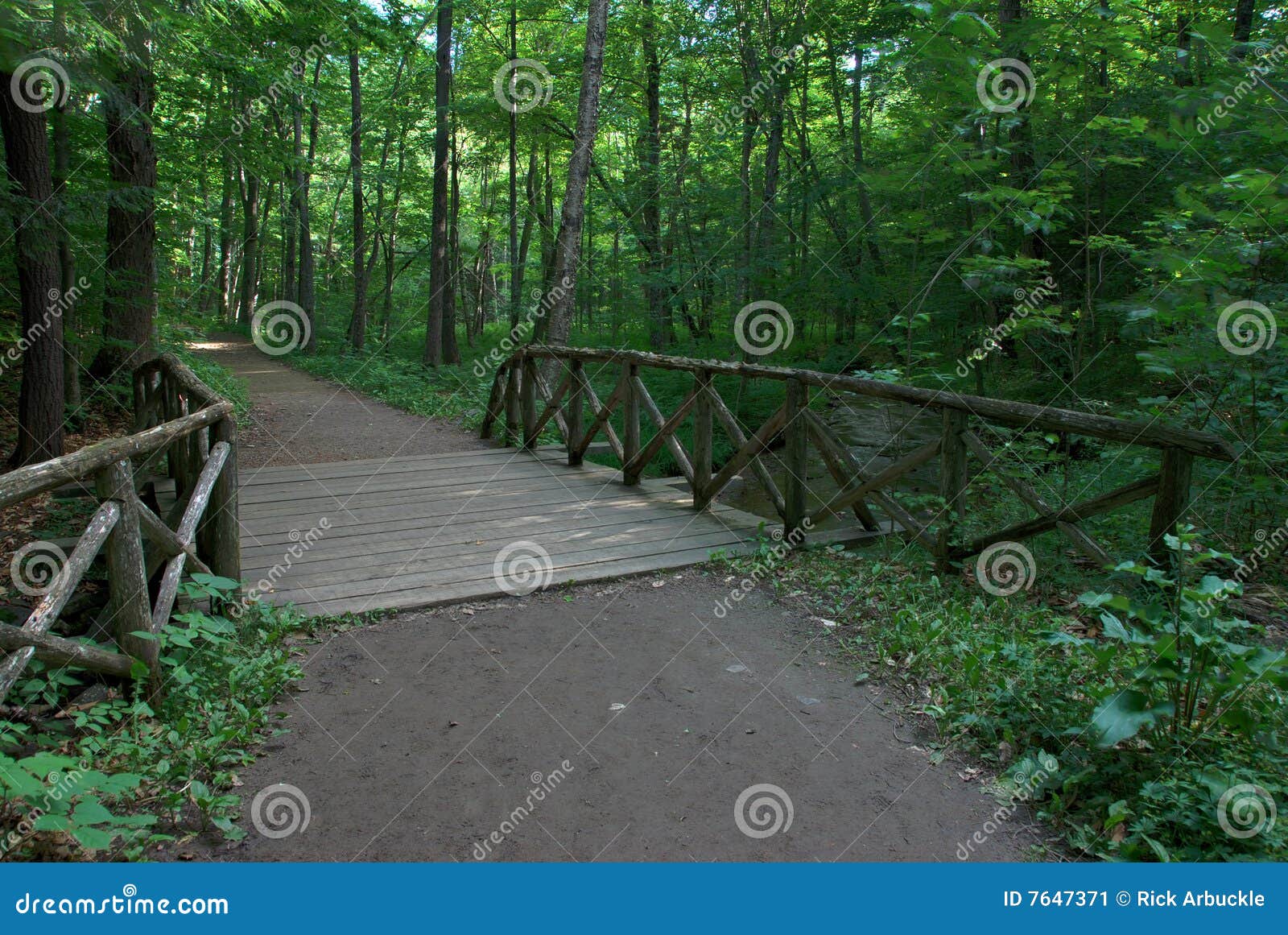 Wooden Bridge Over Stream stock image. Image of forest - 7647371