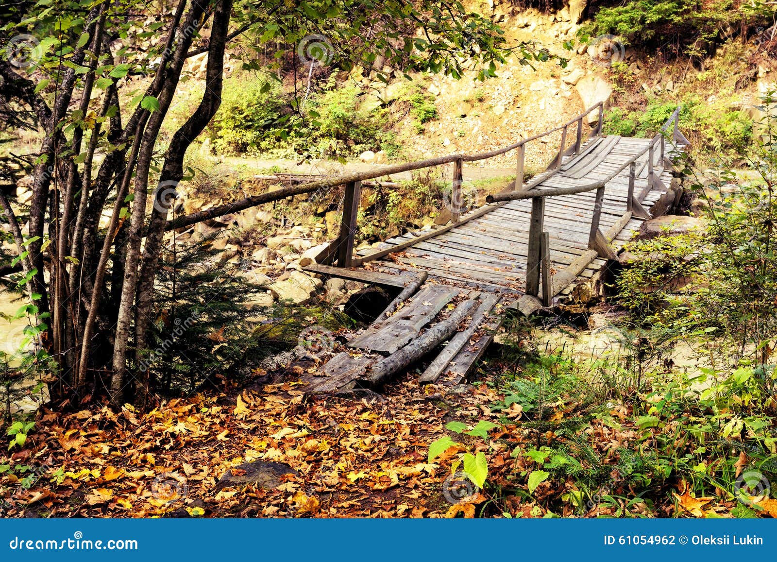 Wooden bridge over stream stock photo. Image of copy - 61054962