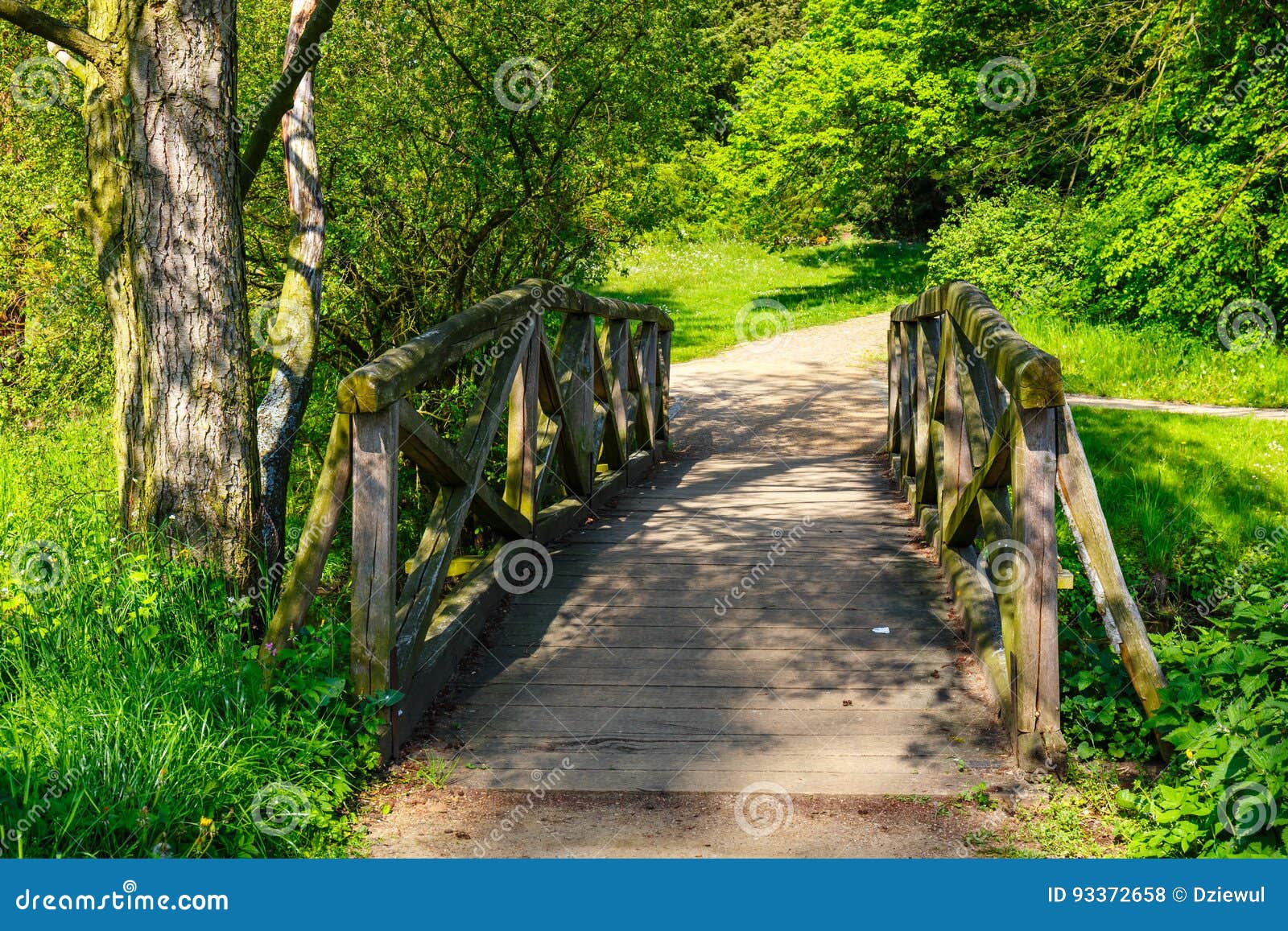Wooden Bridge Over the Stream Stock Photo - Image of natural ...
