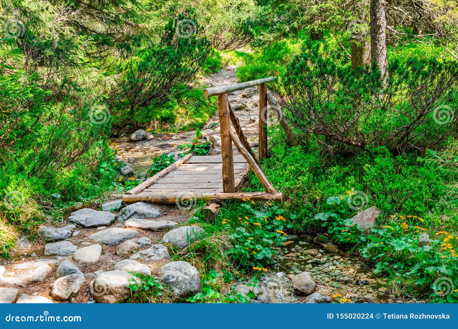 Wooden Bridge Over a Stream in the Forest. Stock Photo - Image of ...