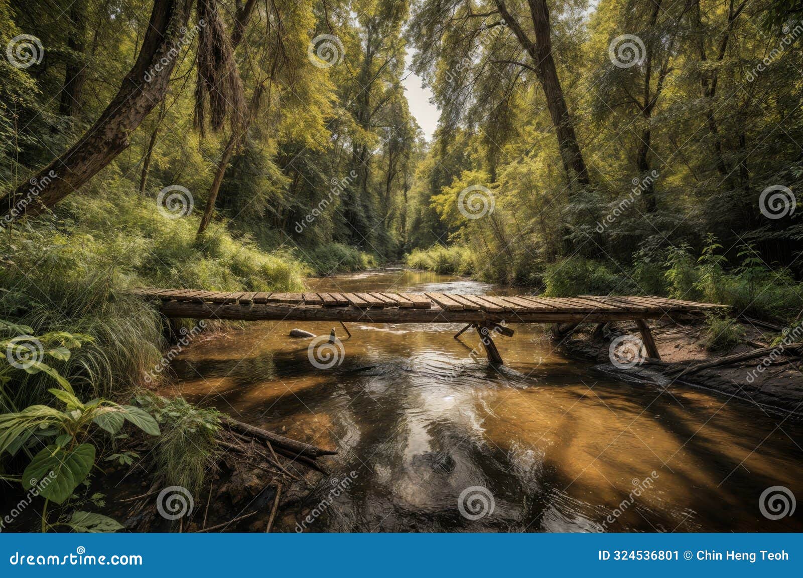 Wooden Bridge Over a Stream in a Lush Forest Stock Image - Image of ...