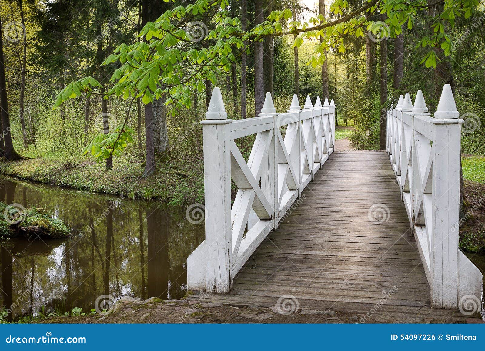 Wooden Bridge Over a Stream Stock Photo - Image of park, evening: 54097226
