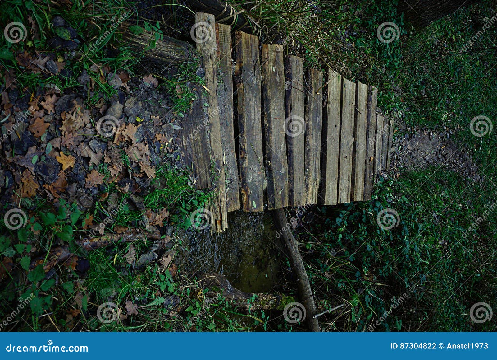 Wooden Bridge Over a Stream in the Park Stock Photo - Image of natural ...