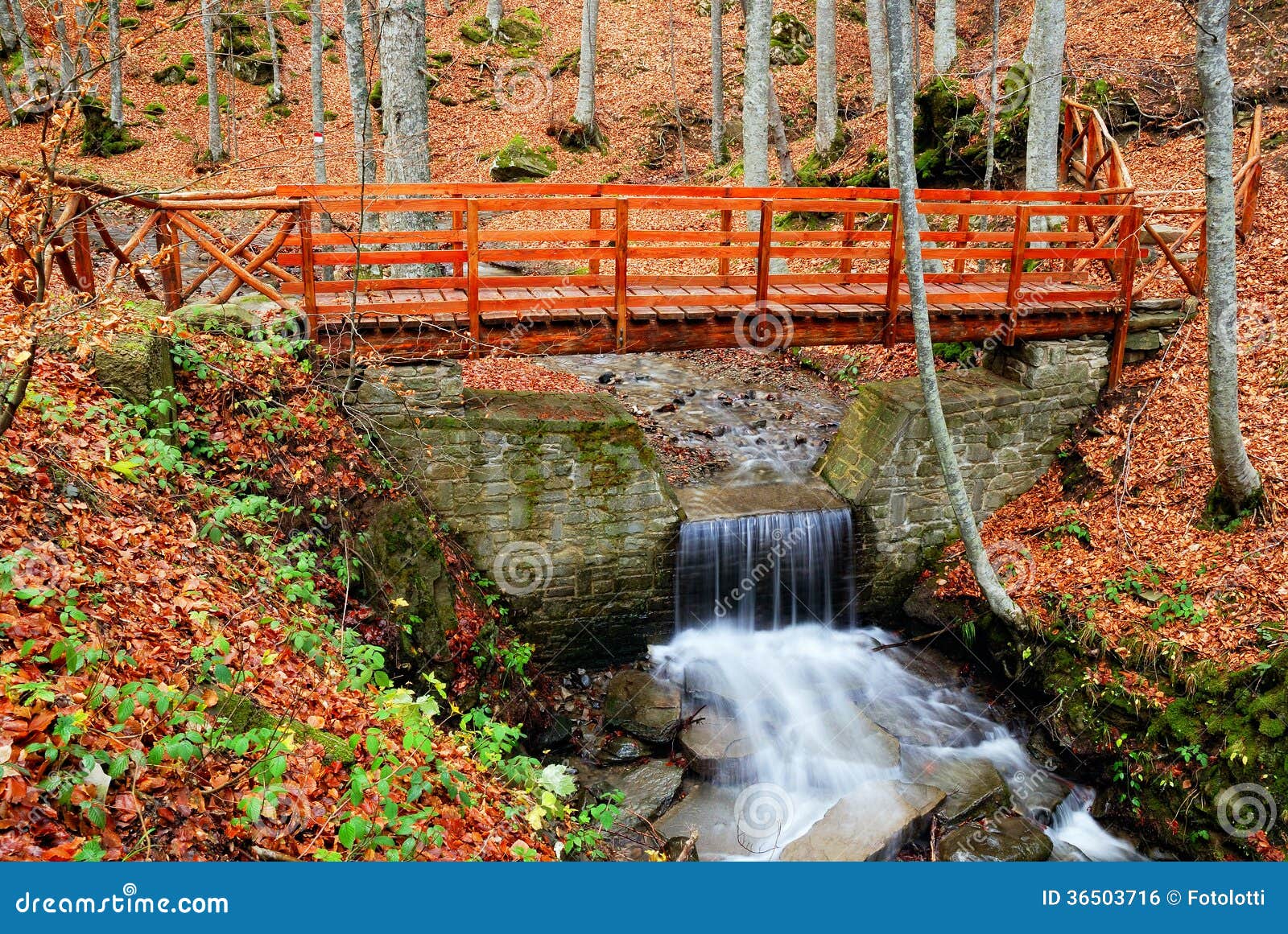 Wooden Bridge Over the Stream Stock Photo - Image of waterfall, stream ...