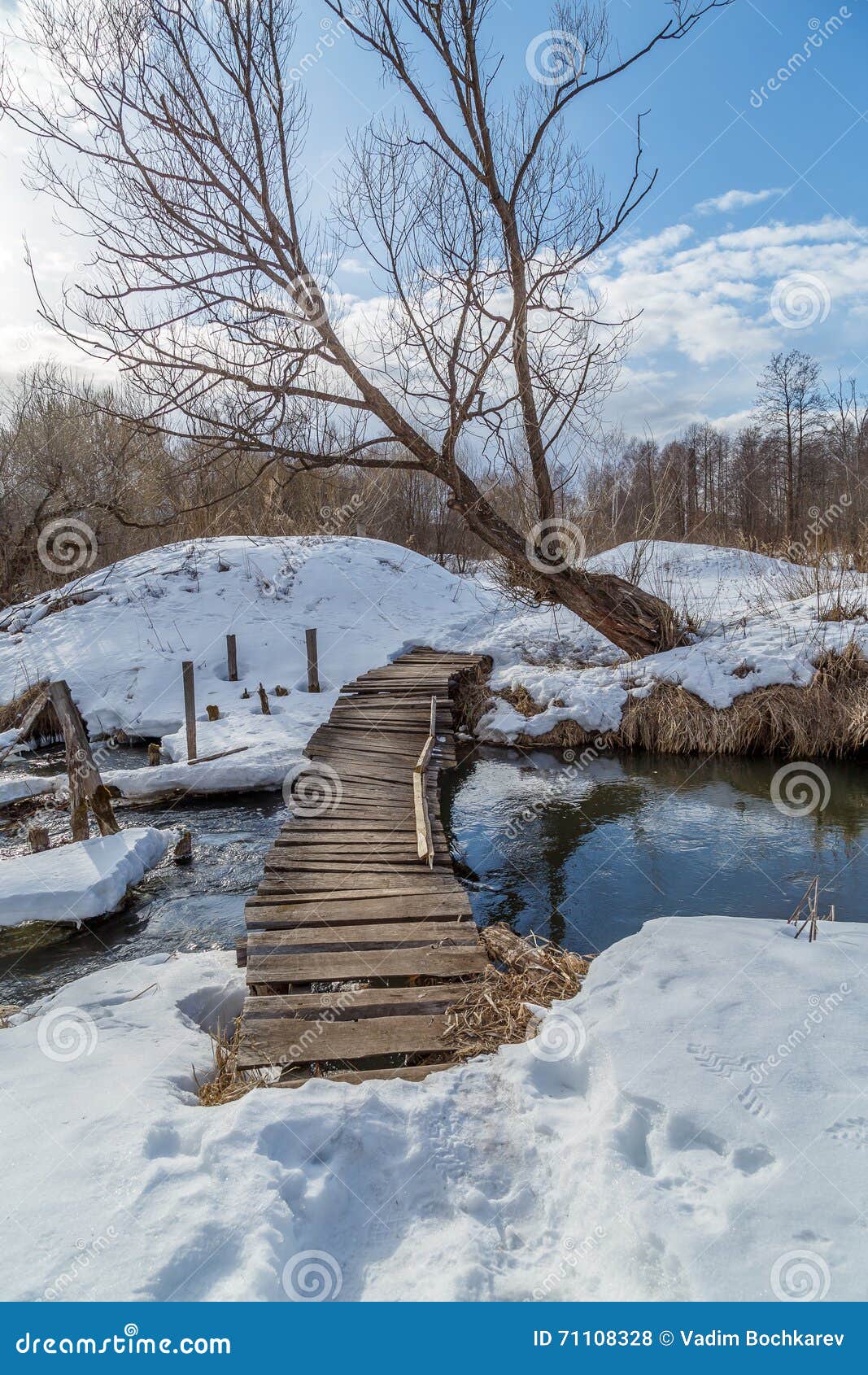 Wooden Bridge Over a Stream Stock Photo - Image of reflecrion, wooden ...