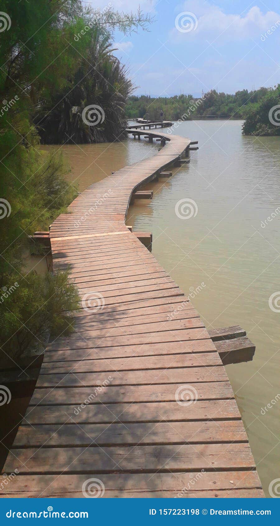 A Wooden Bridge Over the Swamp Stock Photo - Image of wooden, bridge ...