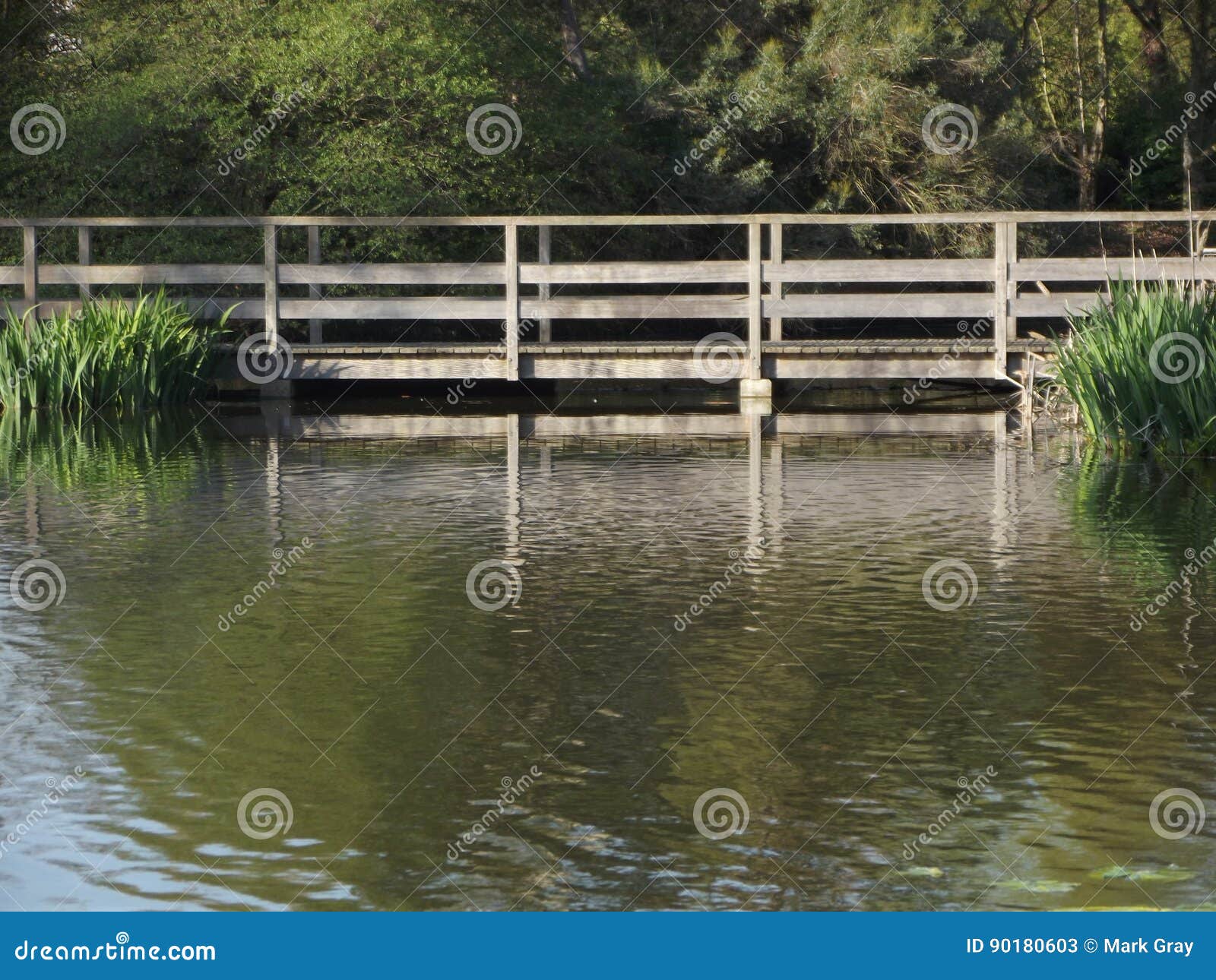Wooden Bridge stock image. Image of wooden, bridge, lake - 90180603