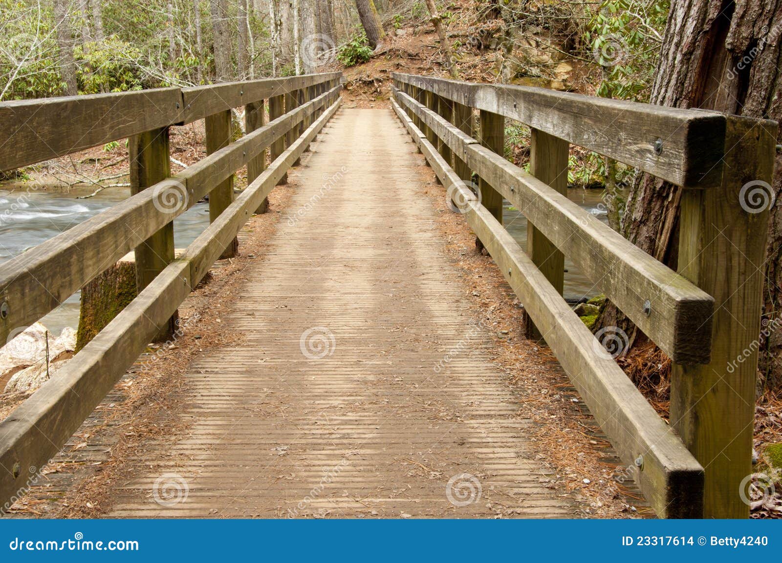 Wooden Bridge Over a White Water Stream. Stock Photo - Image of wooden ...