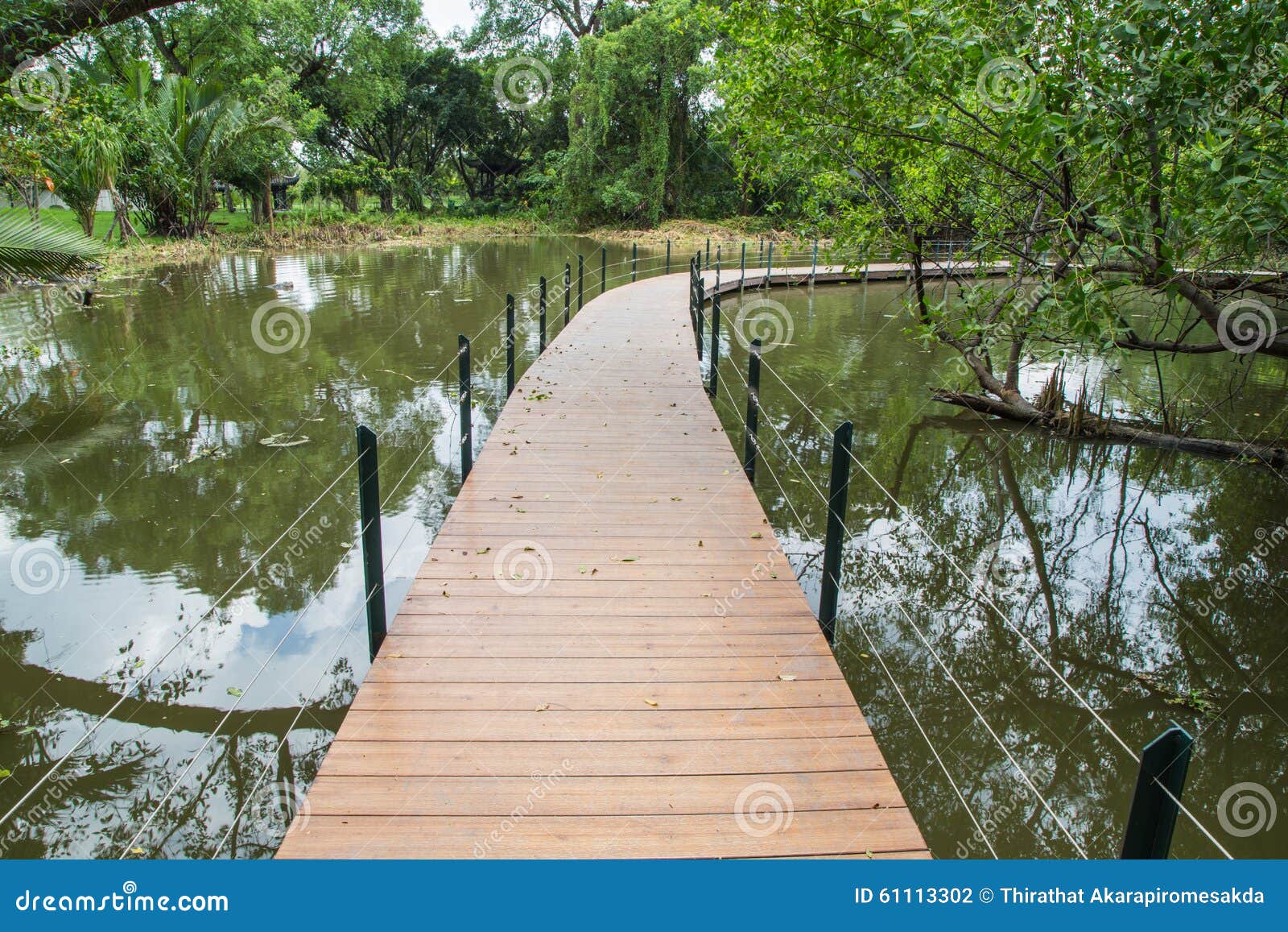 Wooden bridge in a Park stock photo. Image of countryside - 61113302