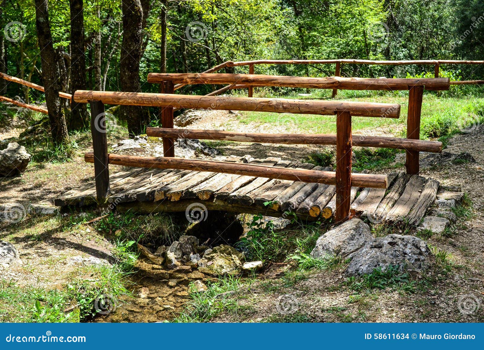 Wooden bridge in the park stock photo. Image of nature - 58611634