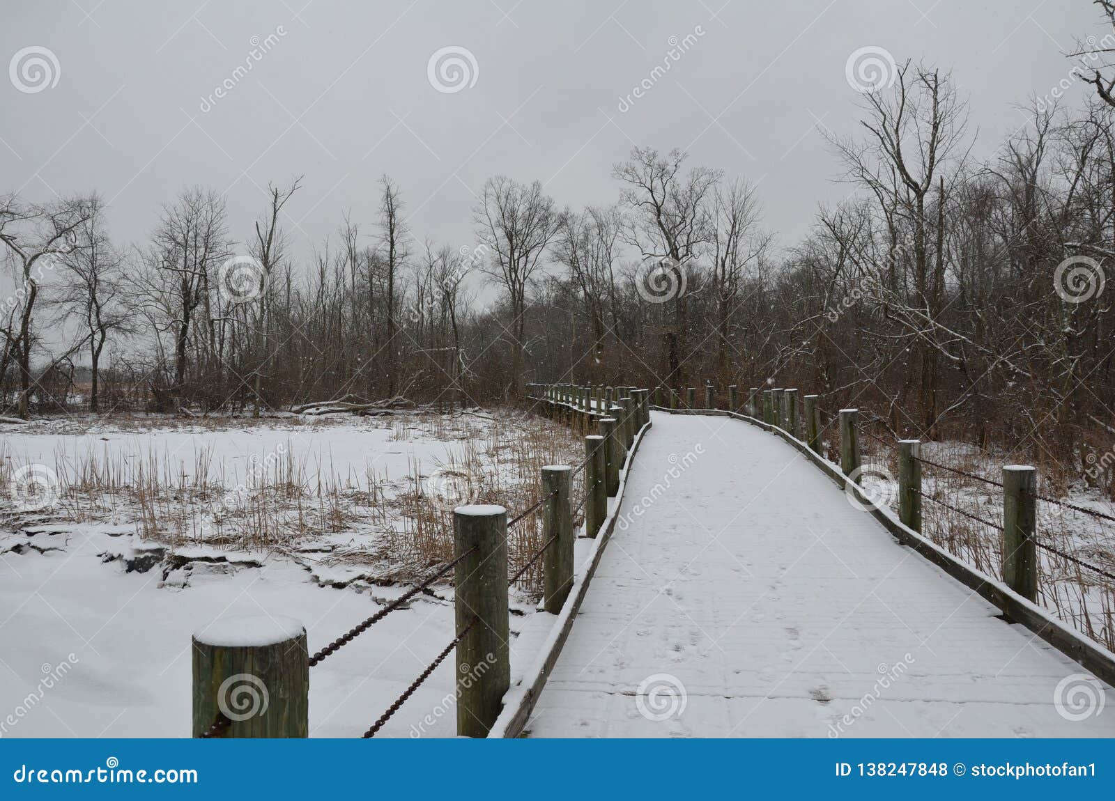 Wooden Bridge, Path, or Trail with Snow and Trees Stock Photo - Image ...