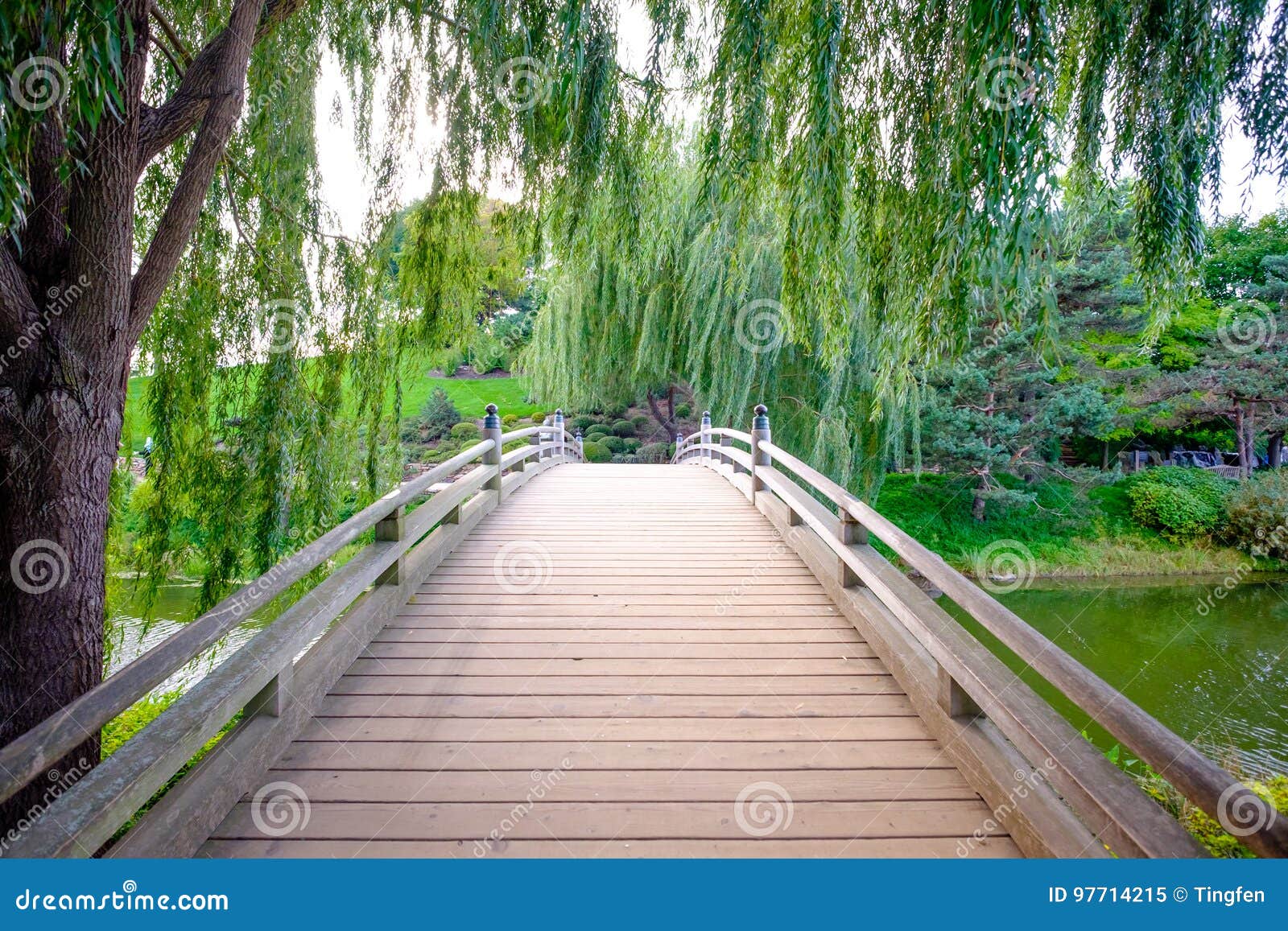 Wooden Bridge Path with Trees Stock Image - Image of path, outdoors ...