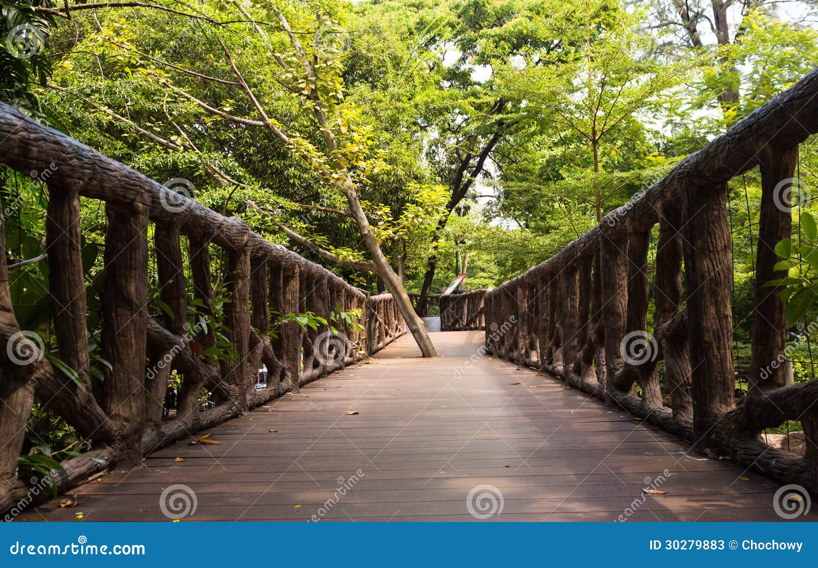 The Wooden Bridge Path among Wild Forest Stock Image - Image of forest ...