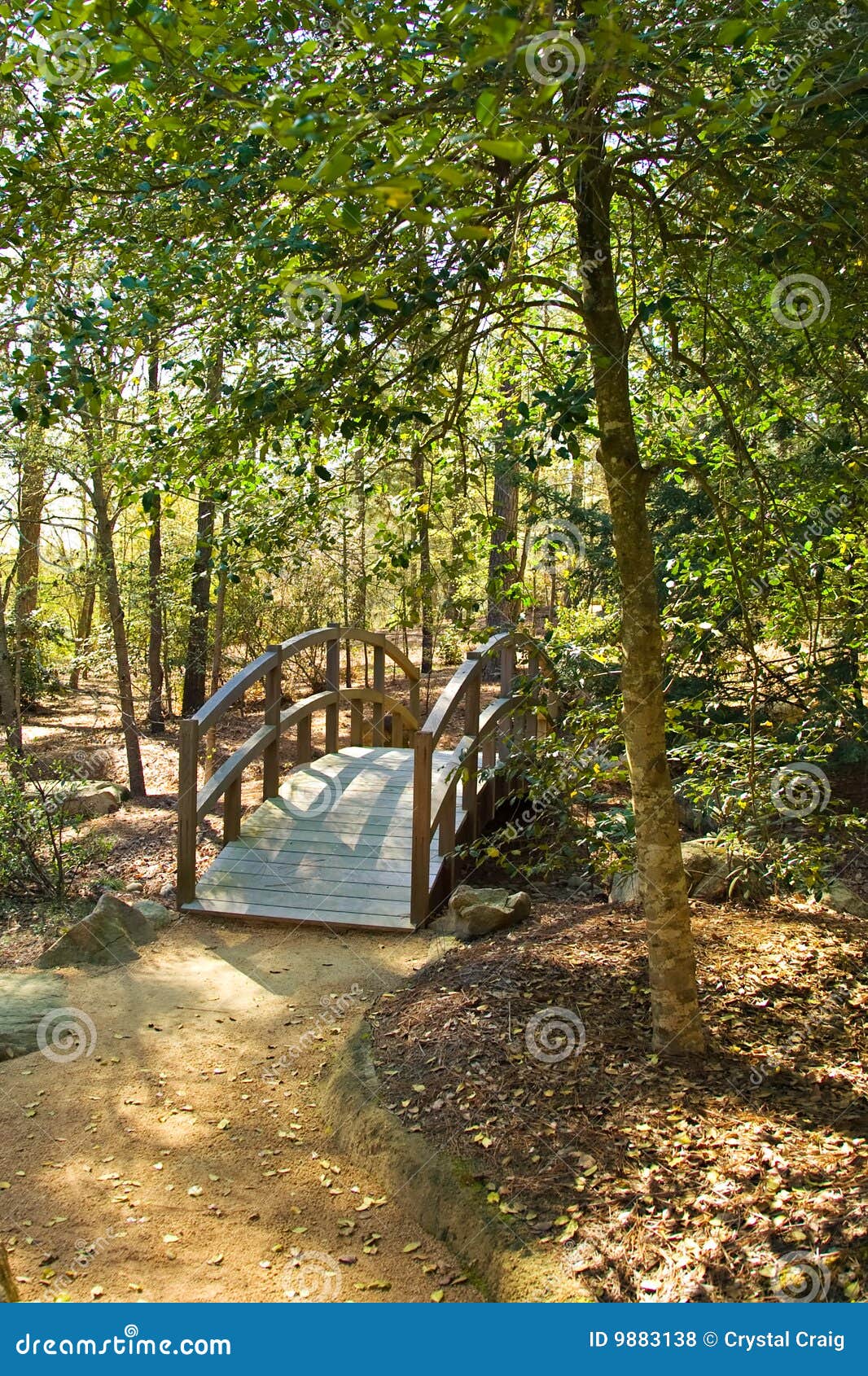 Wooden Bridge Footbridge Walkway Pathway Along Flower Field Royalty ...