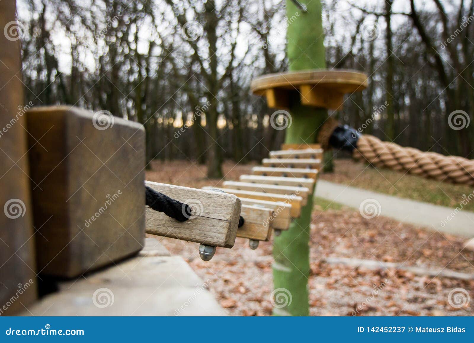 Wooden Bridge in the Playground in the Forest Stock Image - Image of ...