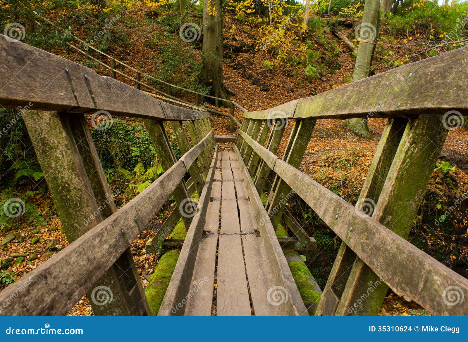 Wooden Bridge stock photo. Image of national, district - 35310624