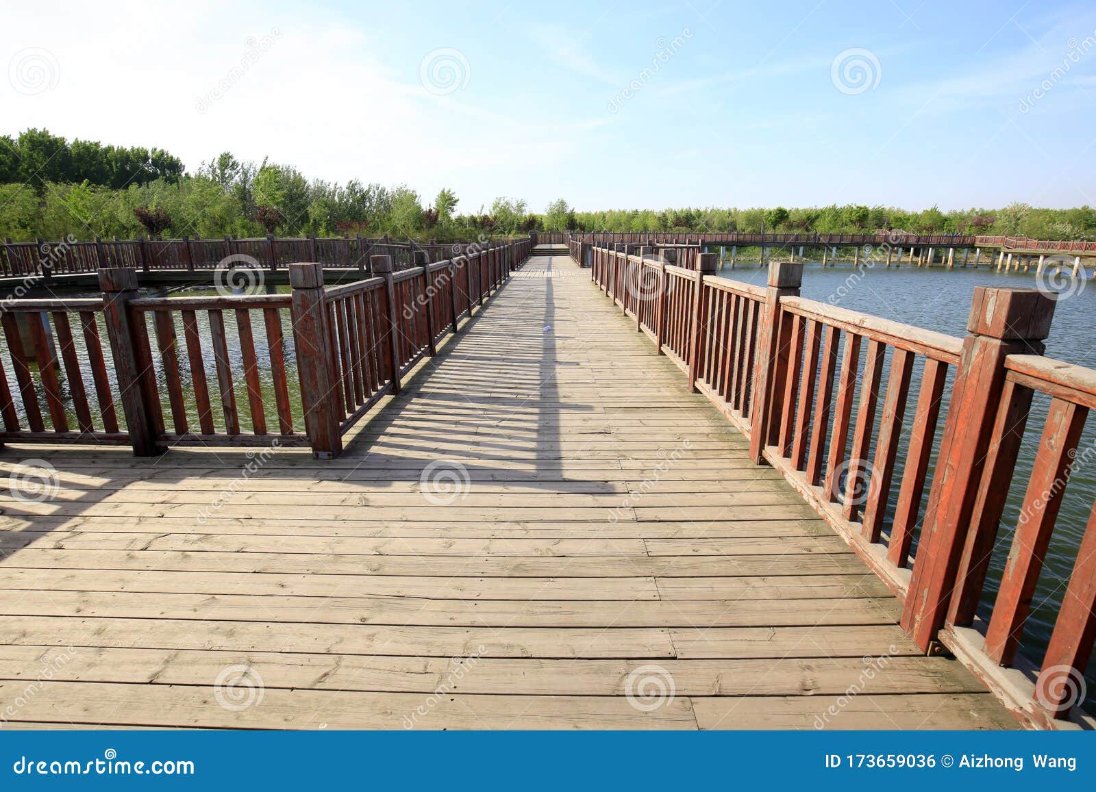 Wooden bridge stock photo. Image of trees, pathway, rural - 173659036
