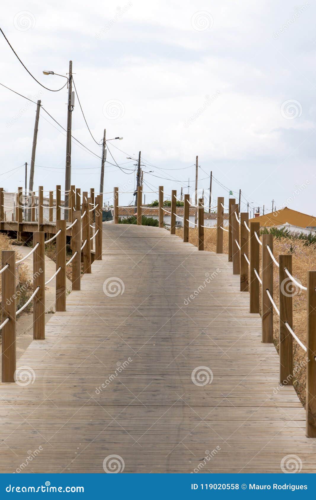 Wooden Bridge through Sand Dunes Stock Photo - Image of fence, tourism ...