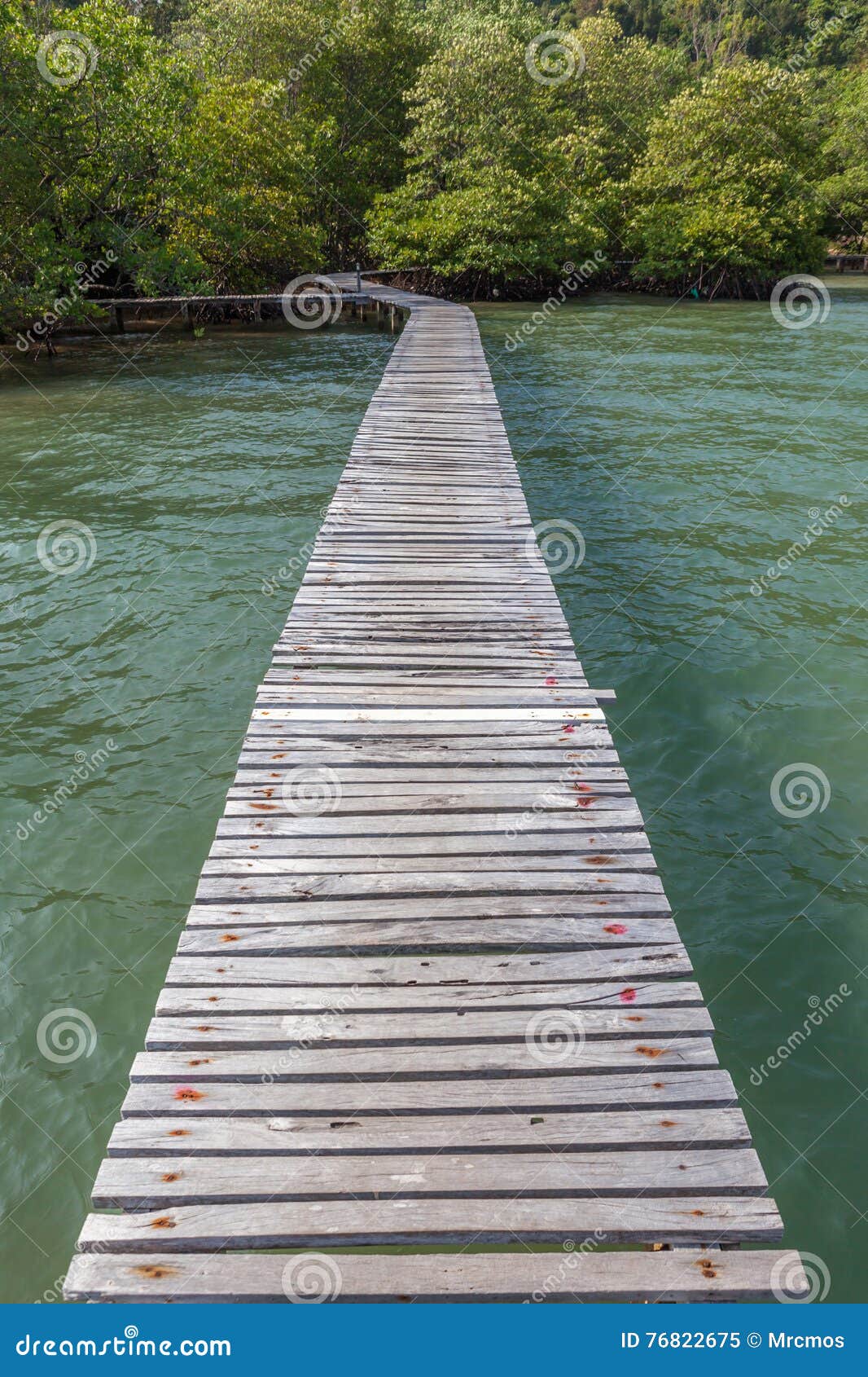The Wooden Bridge on Sea for Nature Sightseeing Pathway. Stock Image ...