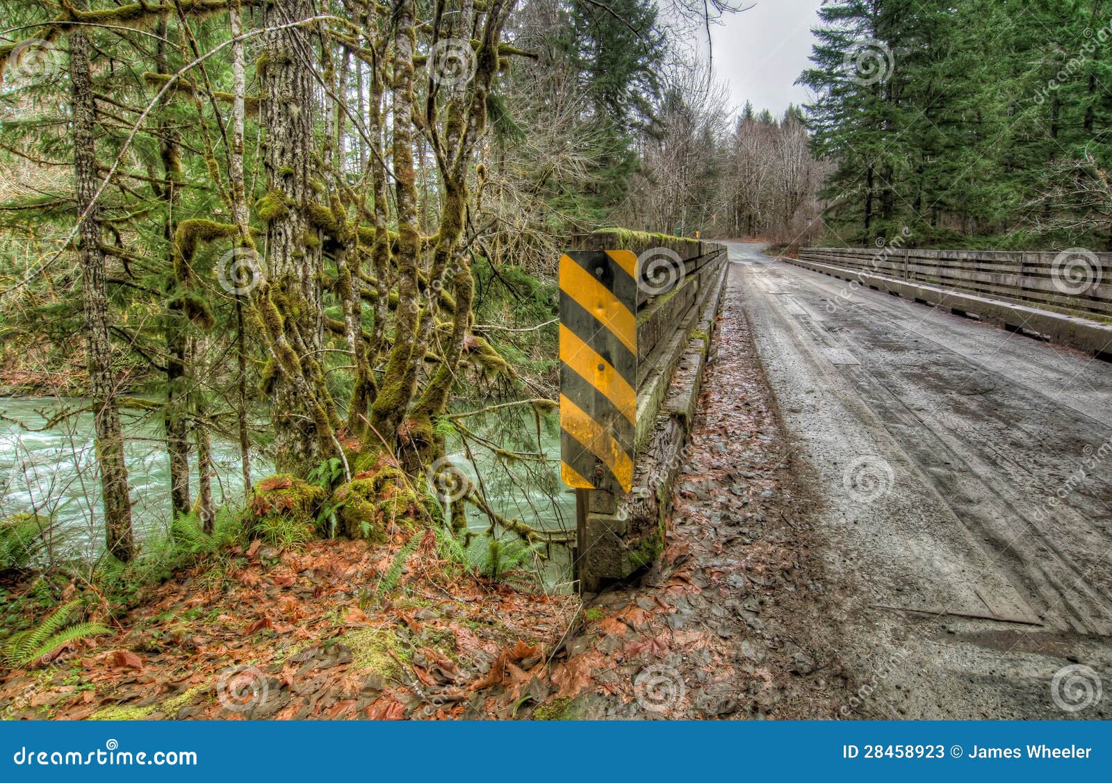 Wooden Bridge on Secluded Logging Road Stock Image - Image of bridge ...