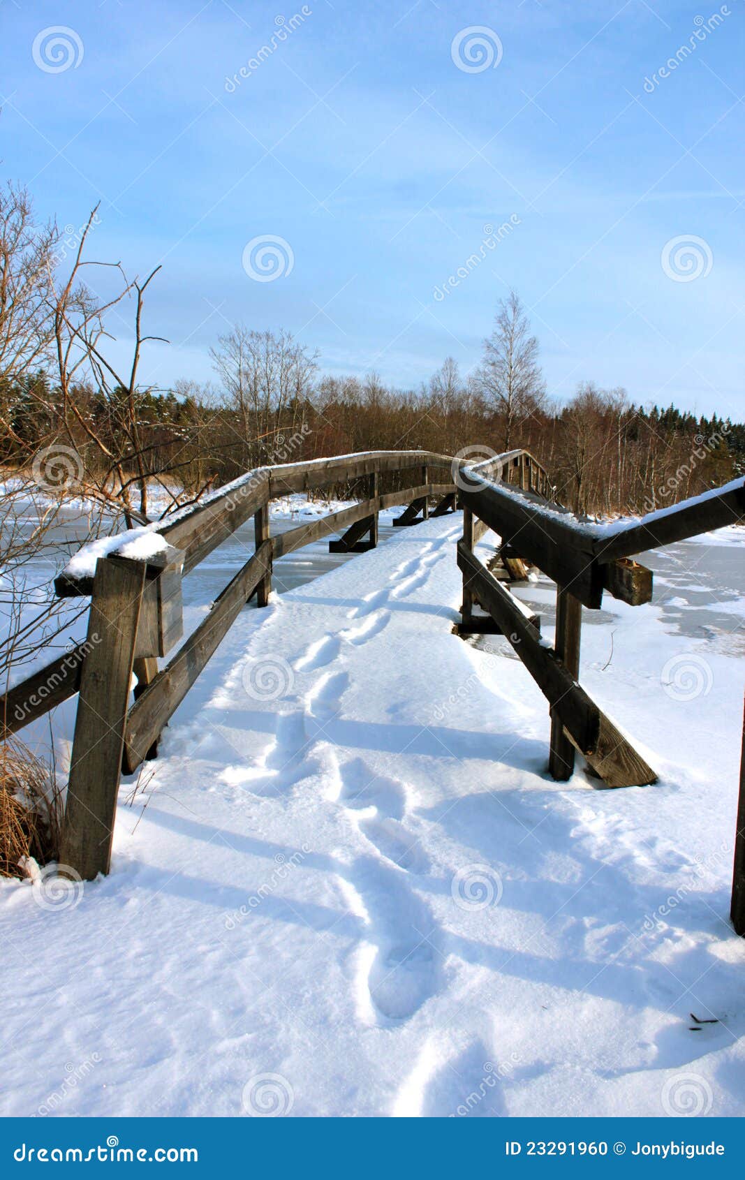 A wooden bridge with snow stock photo. Image of national - 23291960