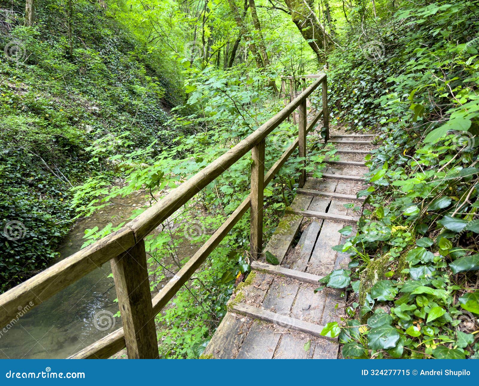 Wooden Bridge Staircase in a Park in Nature Stock Image - Image of ...