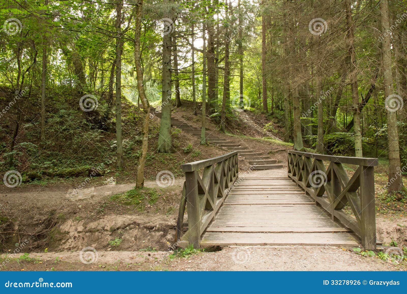 Wooden Bridge and Stairs in the Green Forest Stock Photo - Image of ...