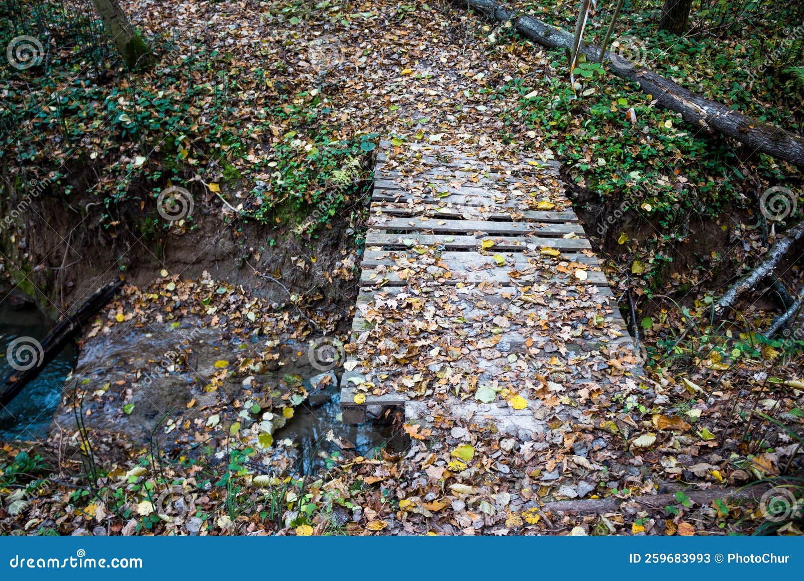 Wooden Bridge Thrown Over a Forest River Stock Image - Image of ...
